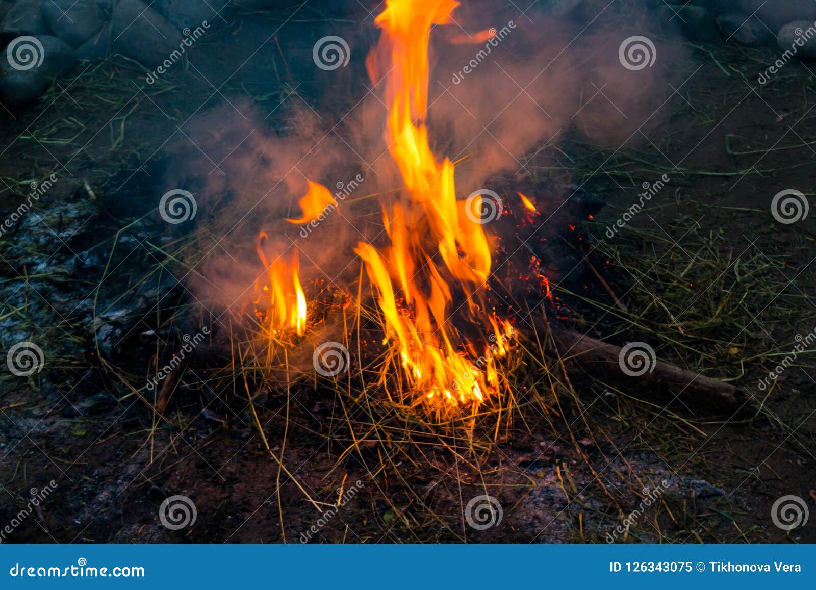 Campfire on the ground stock image. Image of environment - 126343075