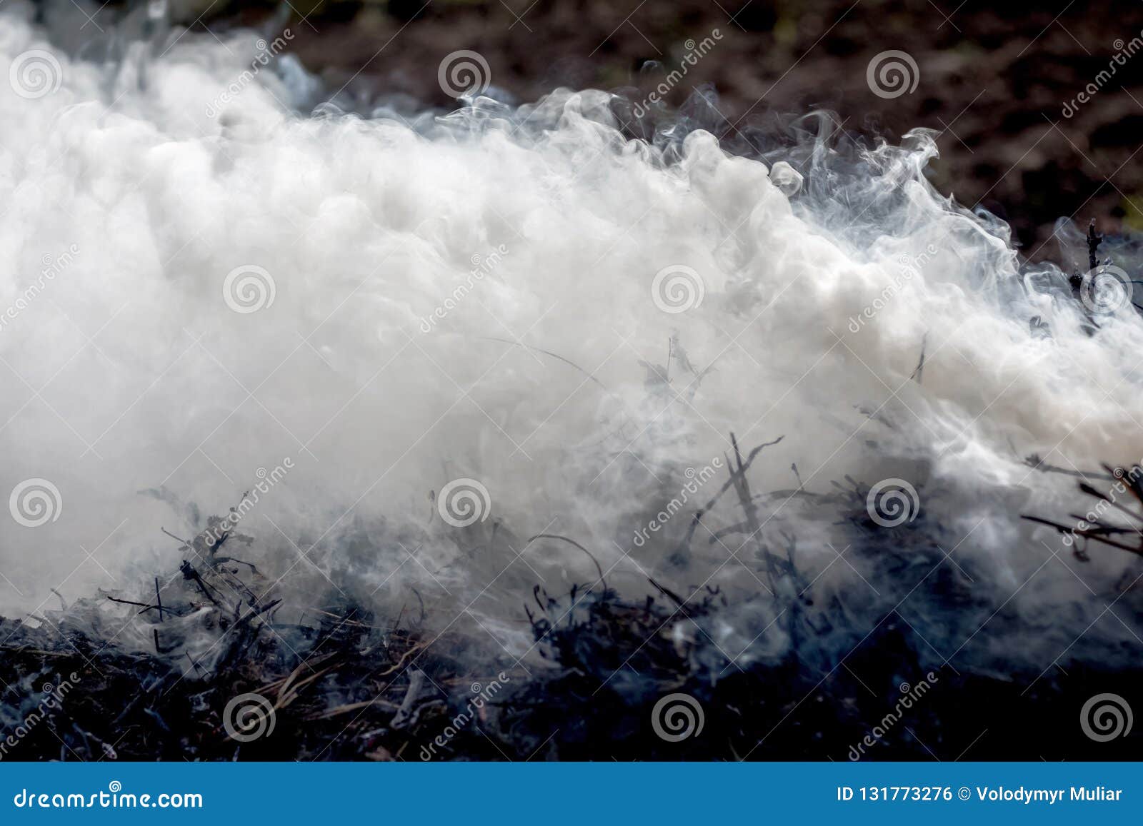 Thick Smoke From Burning Garbage. Pollution Of The Environment Royalty ...