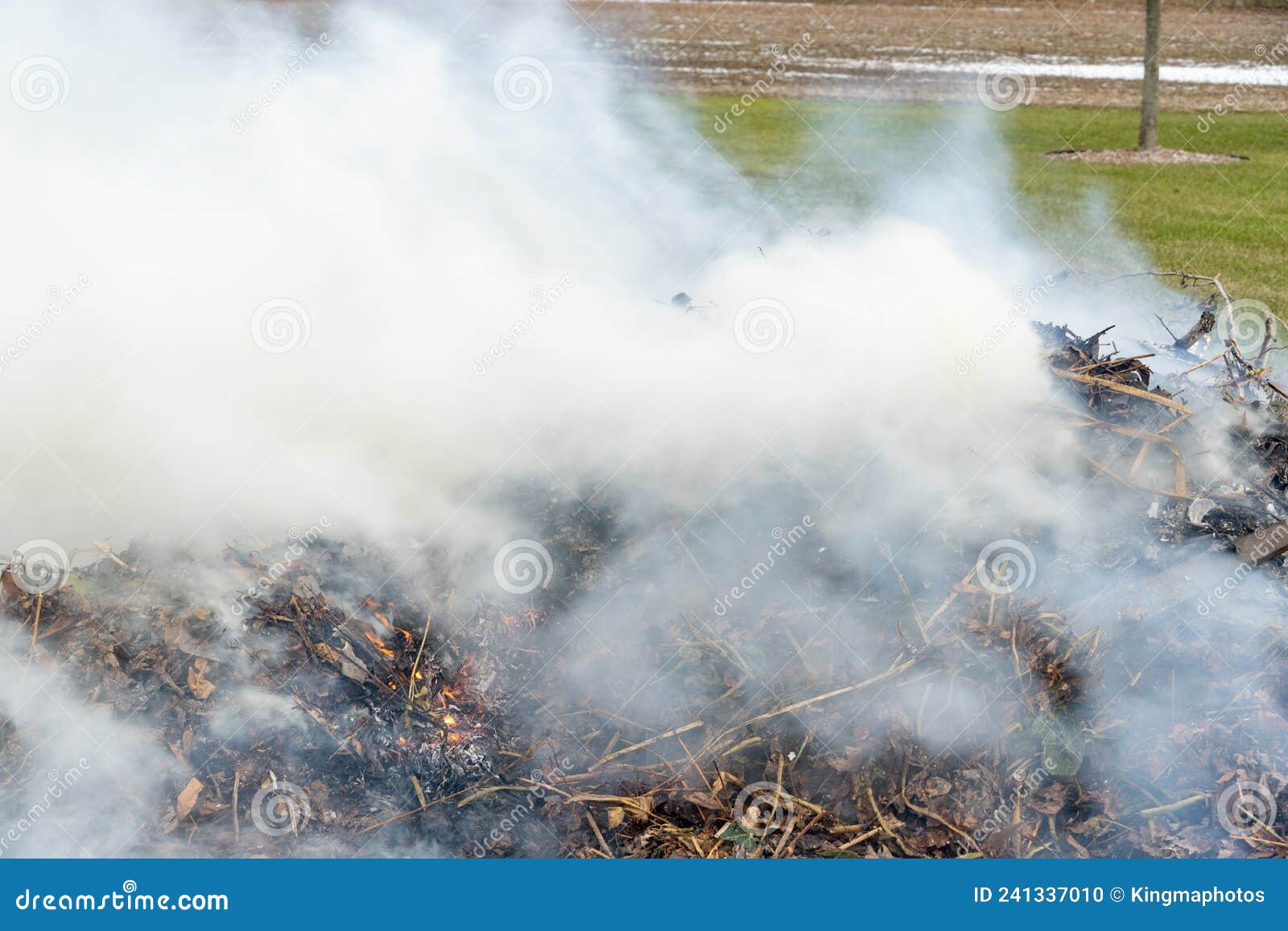 Thick Smoke Coming Off a Wildfire Burning in a Rural Area Causing ...
