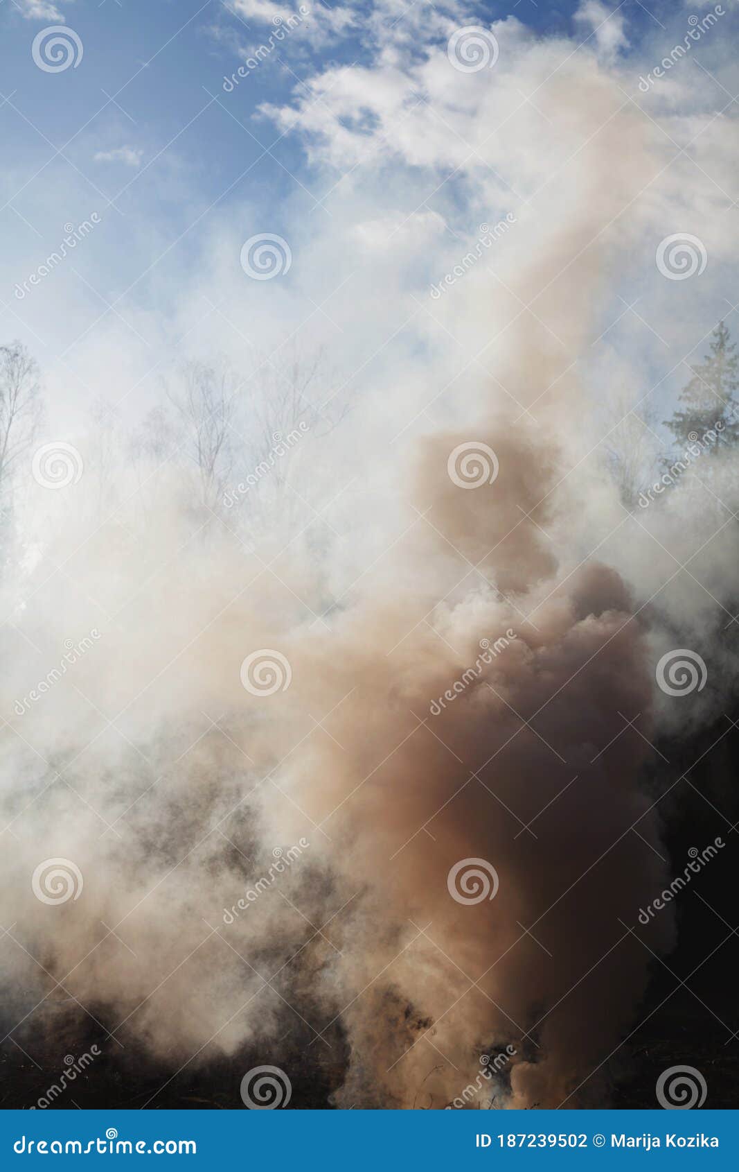 Thick Smoke Rising from Burnin Branches into Clear Blue Spring Sky ...