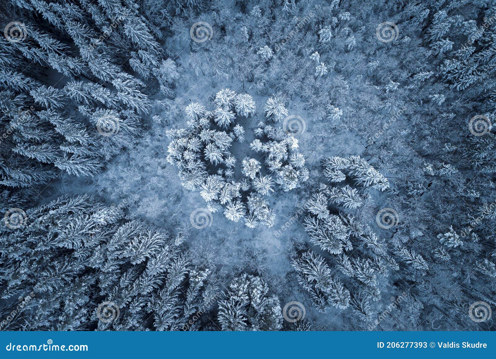 Thick Snowy Forest Captured from Birds Eye View Stock Image - Image of ...