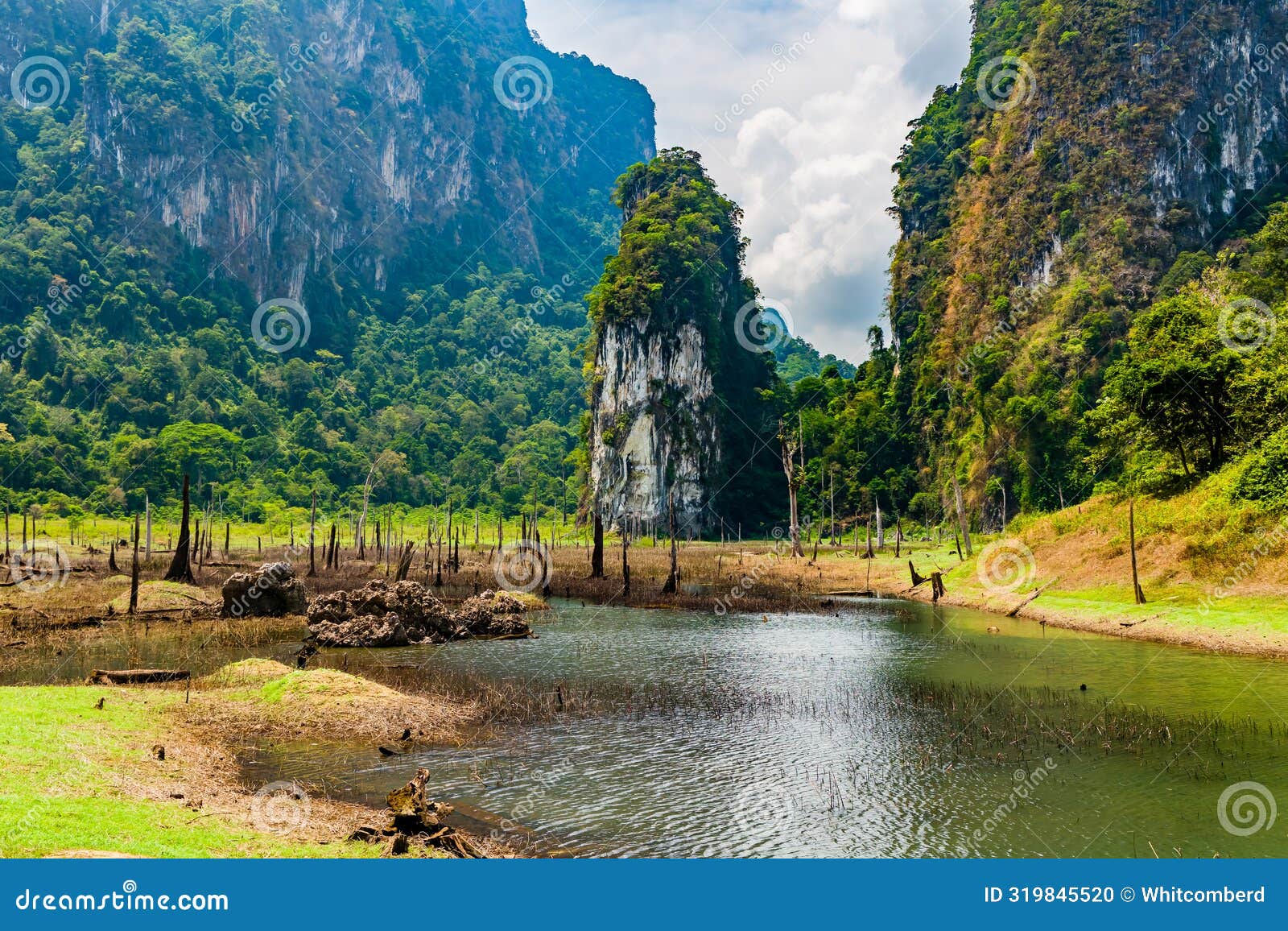 Thick Tropical Jungle and Towering Limestone Cliffs in Khao Sok ...