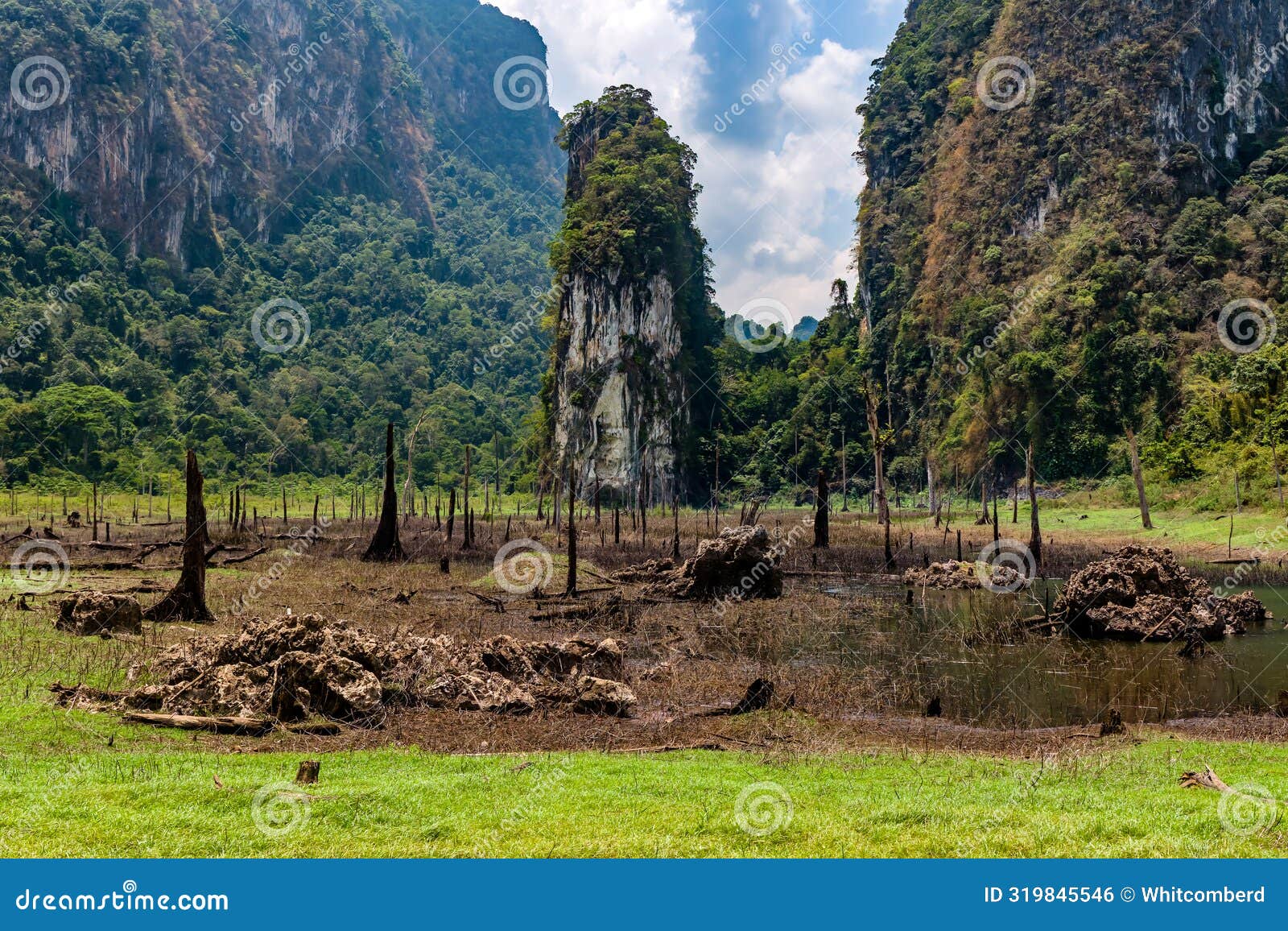 Thick Tropical Jungle and Towering Limestone Cliffs in Khao Sok ...