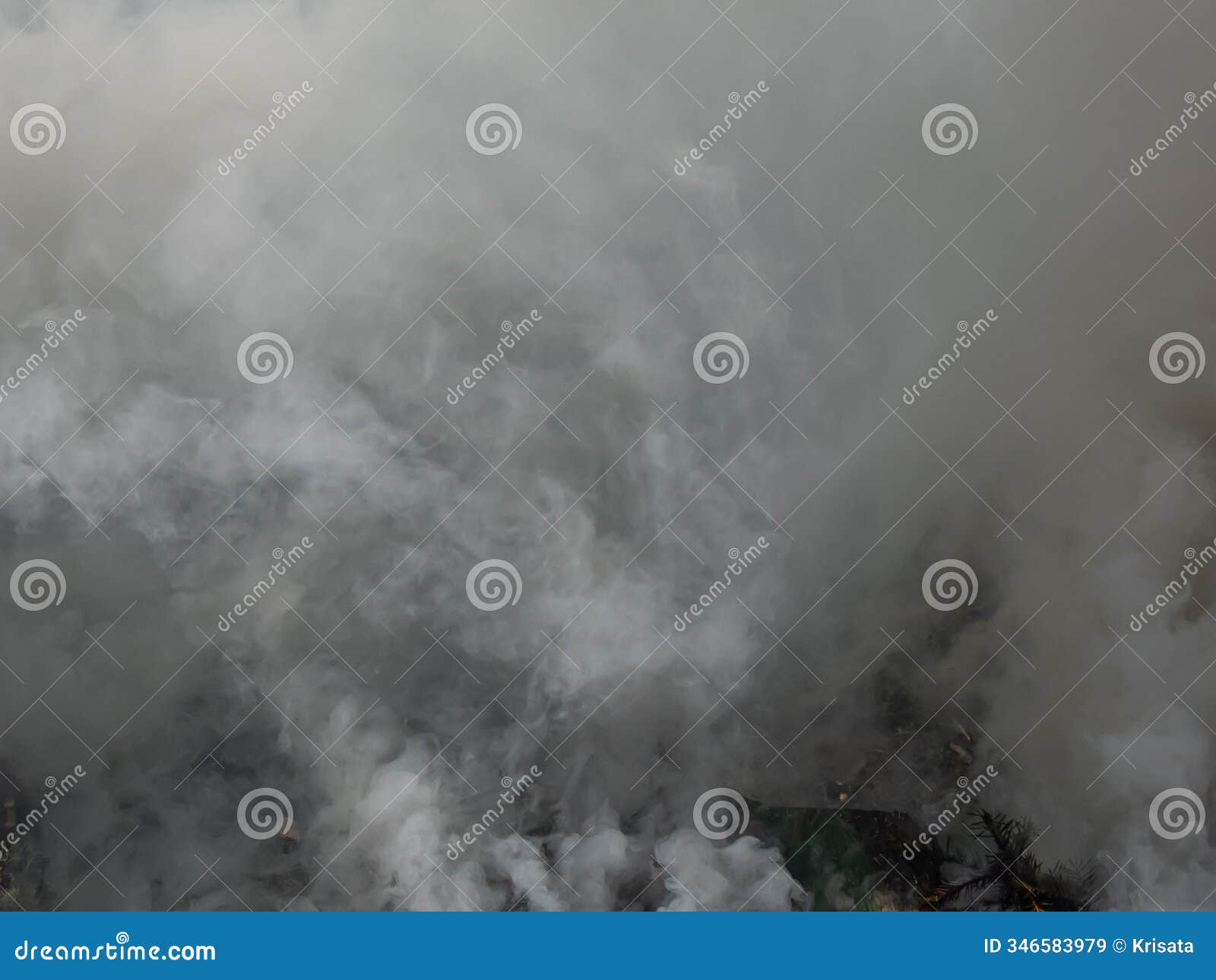 Thick, White Smoke from Burning Wet Branches and Grass Stock Image ...