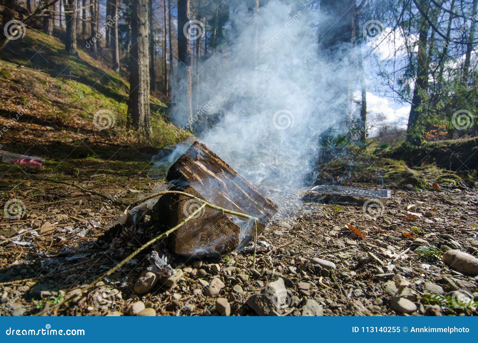 A Thick White Smoke from a Campfire in a Spring Forest Stock Image ...