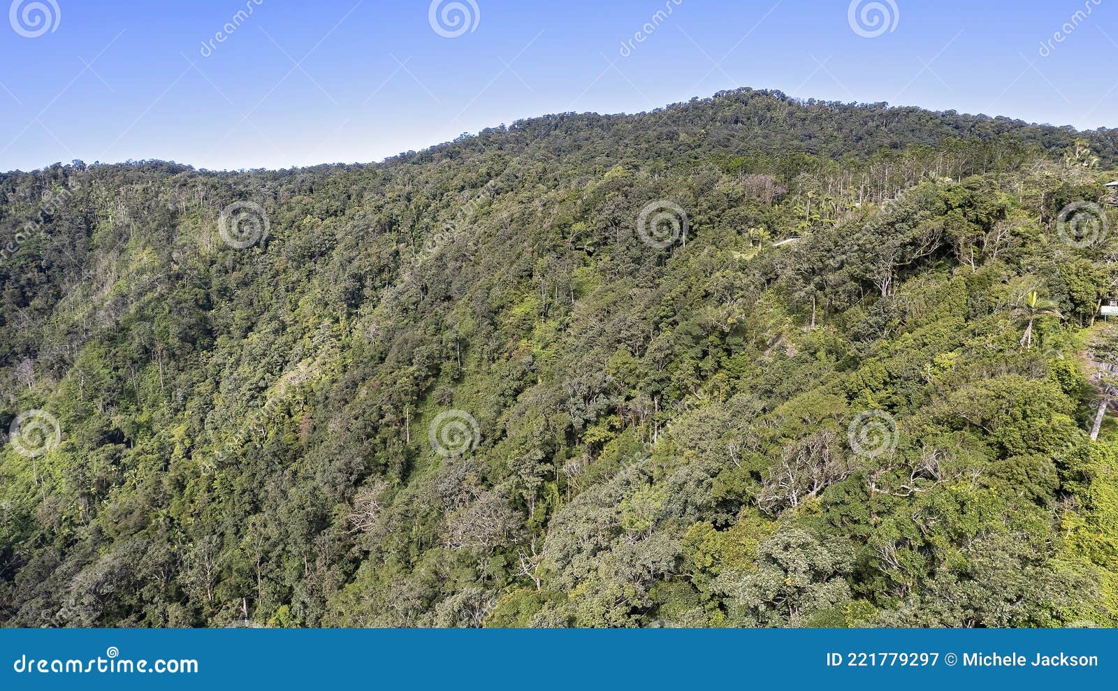 Thickly Forested Mountain Vegetation Stock Image - Image of green ...