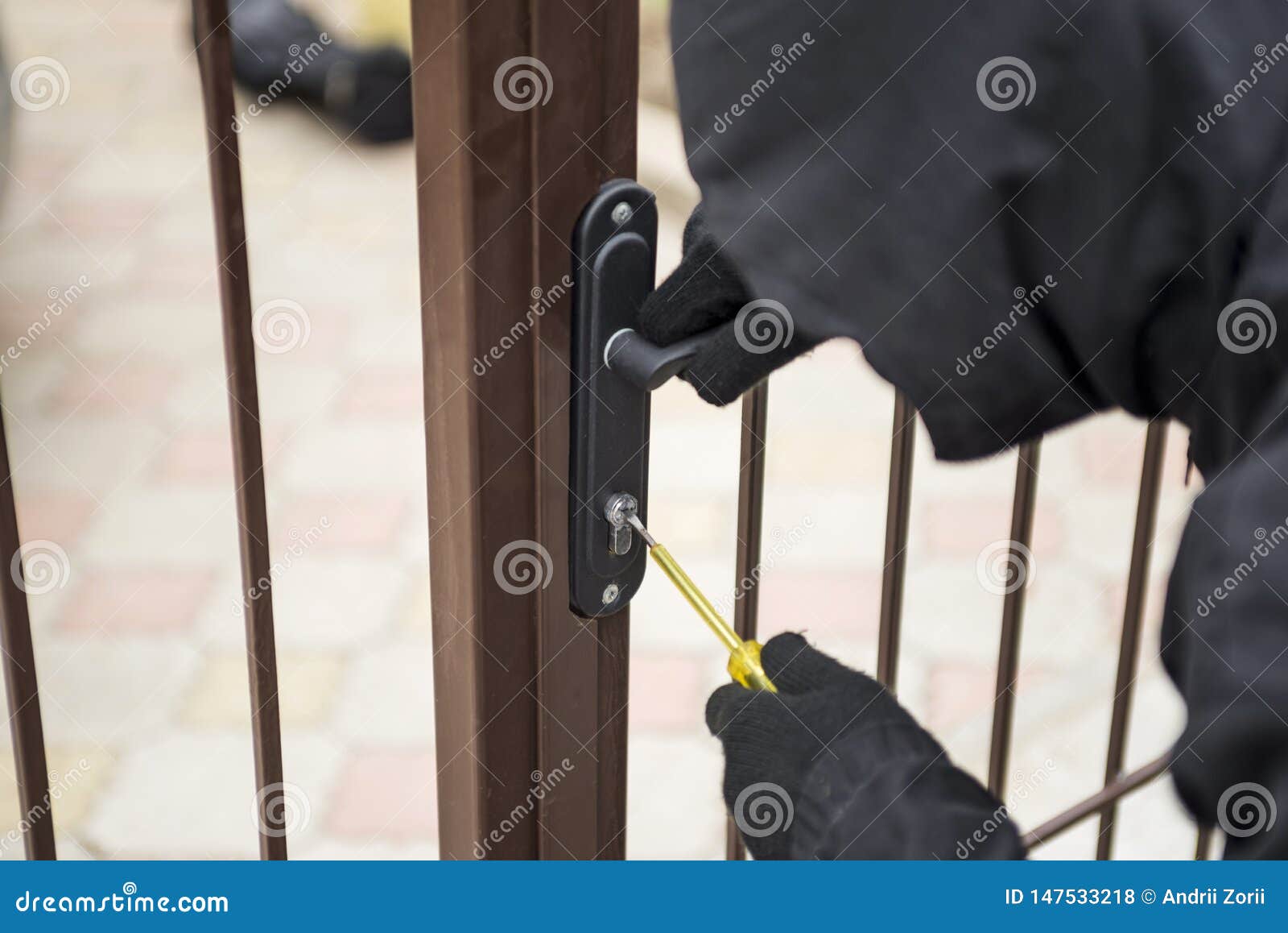 Thief Breaking Lock To Open the Gate. Male Thief Trying To Open Gate ...