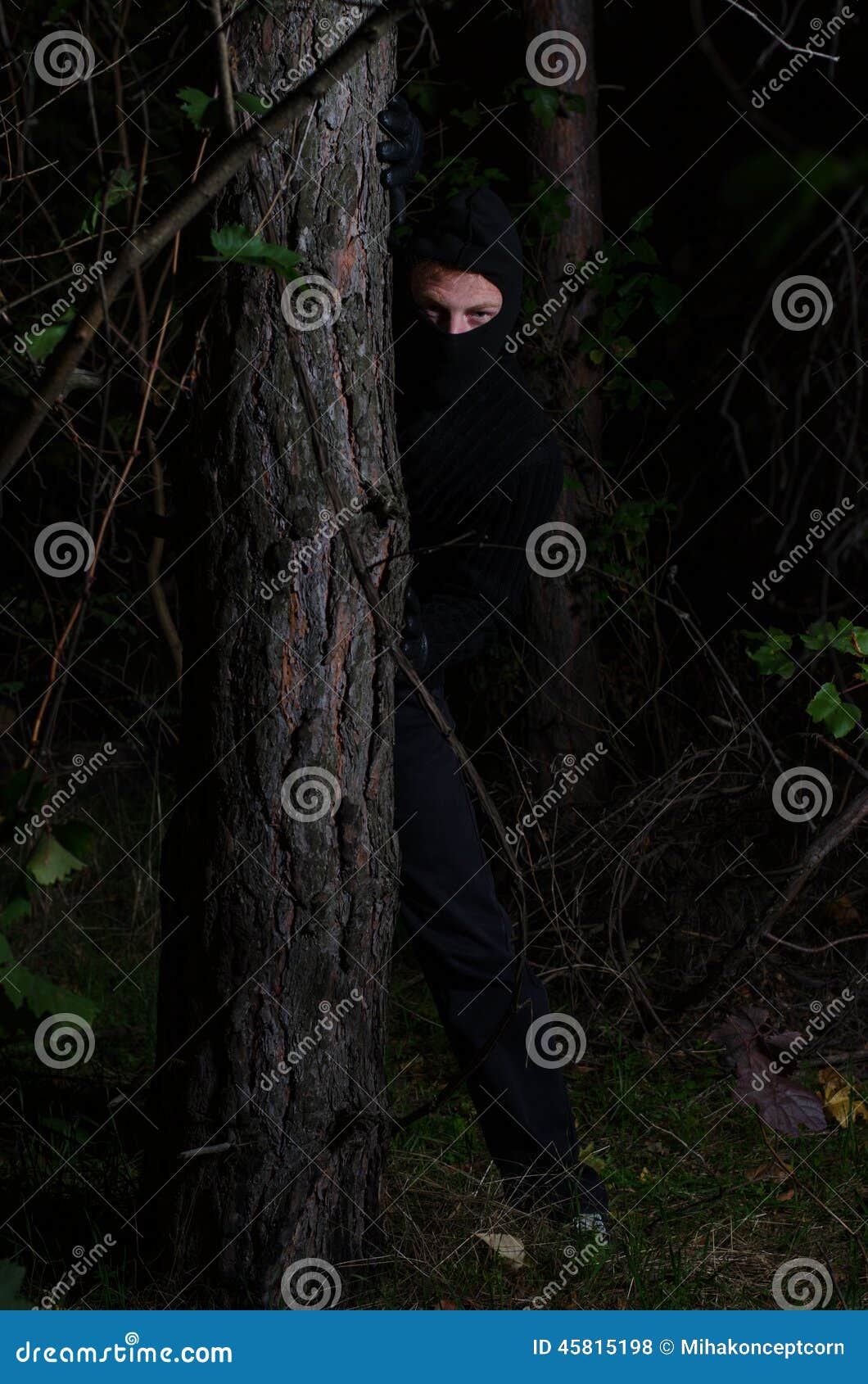 Thief in the dark stock photo. Image of fight, hiding - 45815198