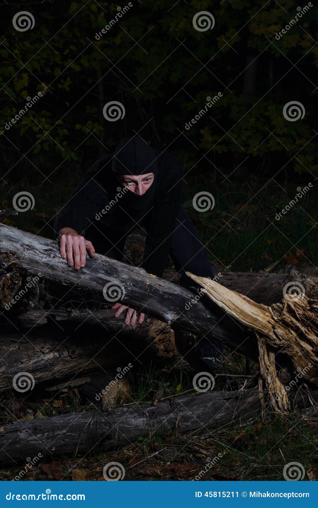 Thief in the dark stock image. Image of dark, wood, special - 45815211