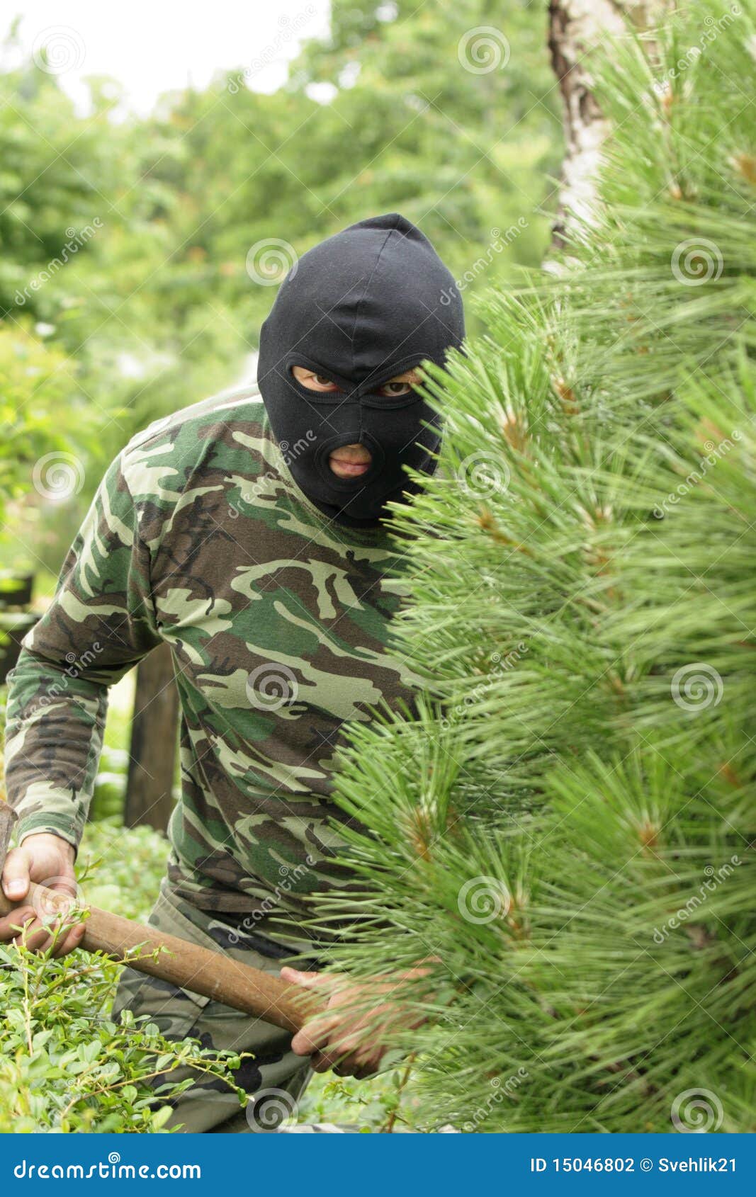 Thief in the garden stock photo. Image of housebreaking - 15046802