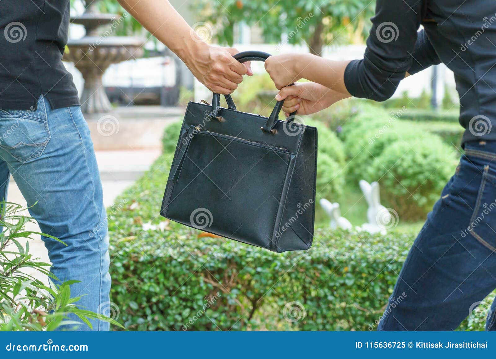 Thief Stealing and Jerking Handbag from Woman at Public Park. Stock ...
