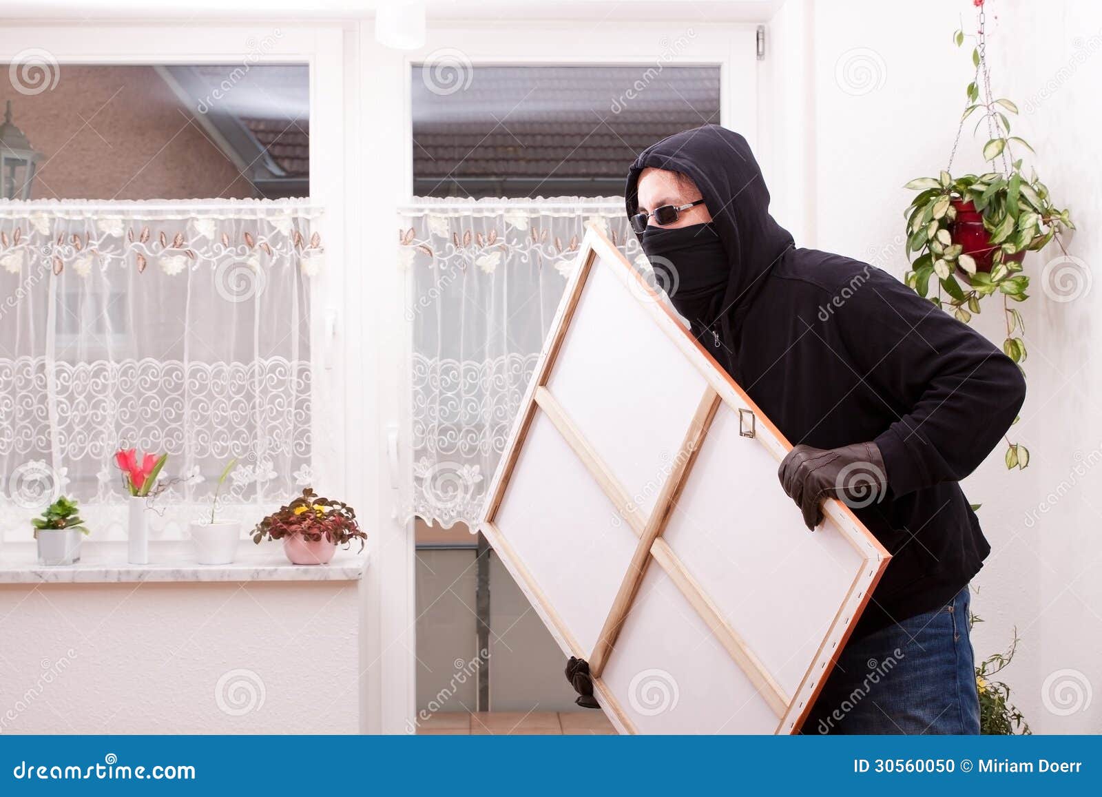 Thief steals a painting stock photo. Image of angry, criminal - 30560050