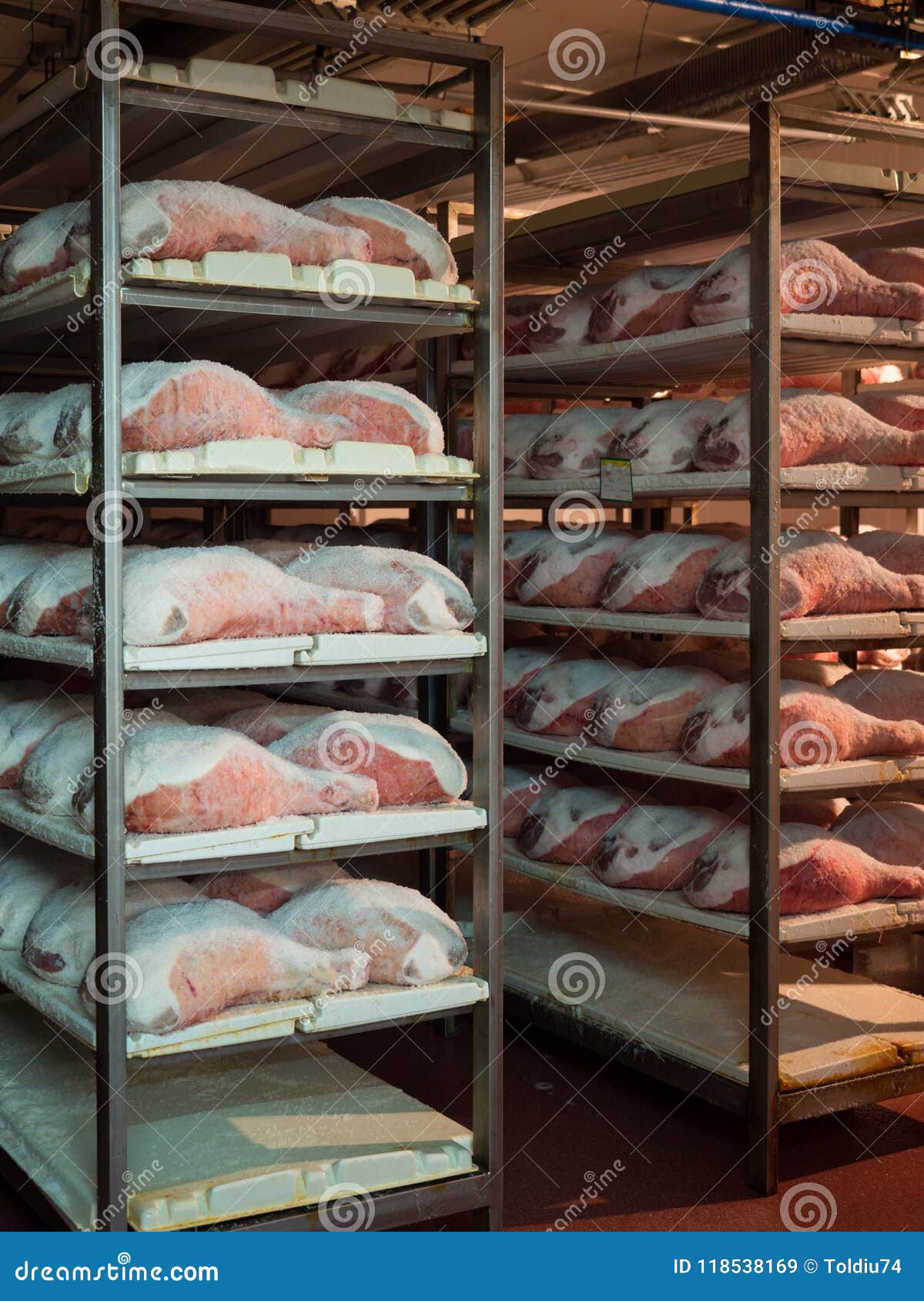 Raw Ham during the Salting Process Inside a Refrigeration Cell. Stock ...