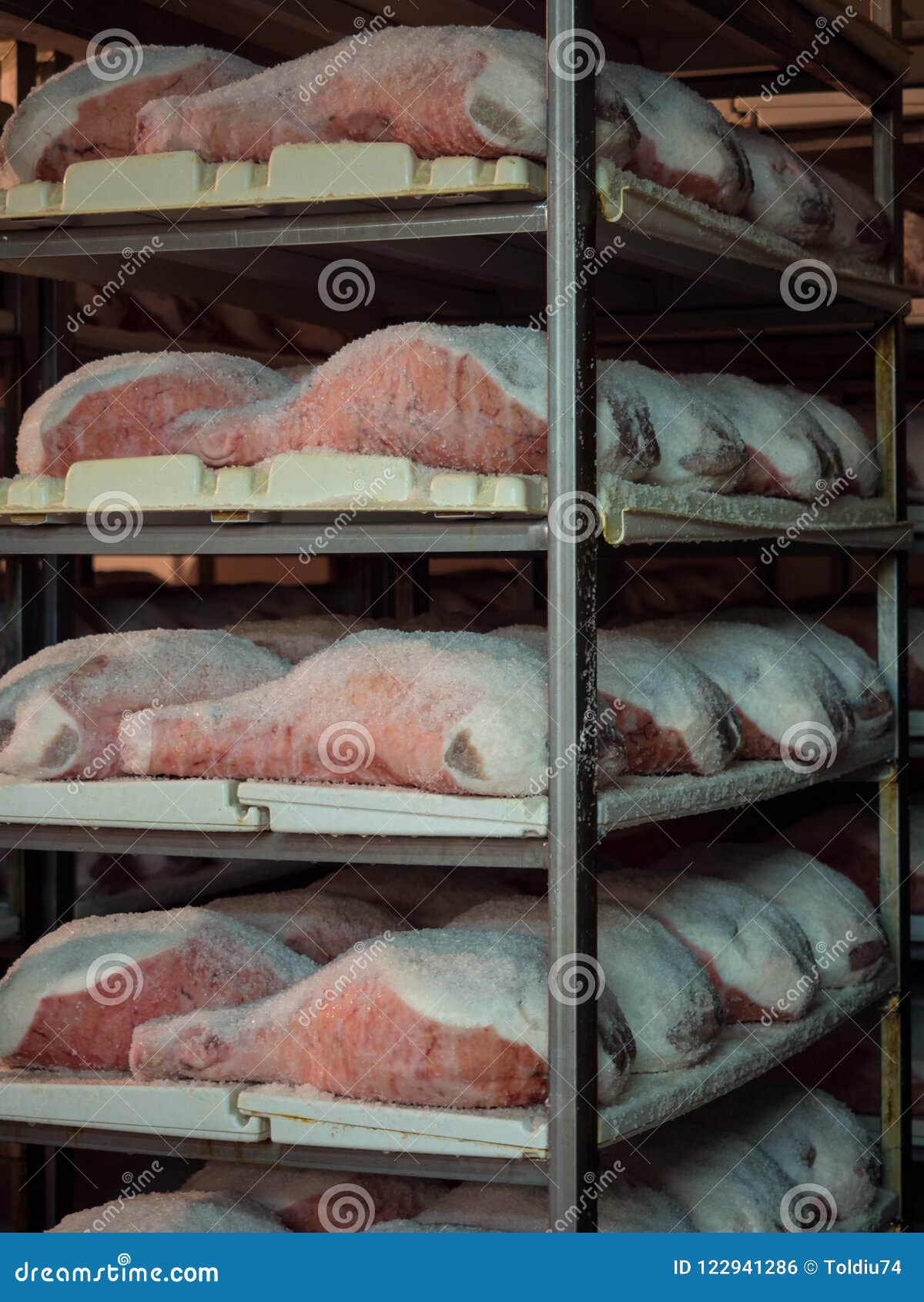 Raw Ham during the Salting Process Inside a Refrigeration Cell. Stock ...