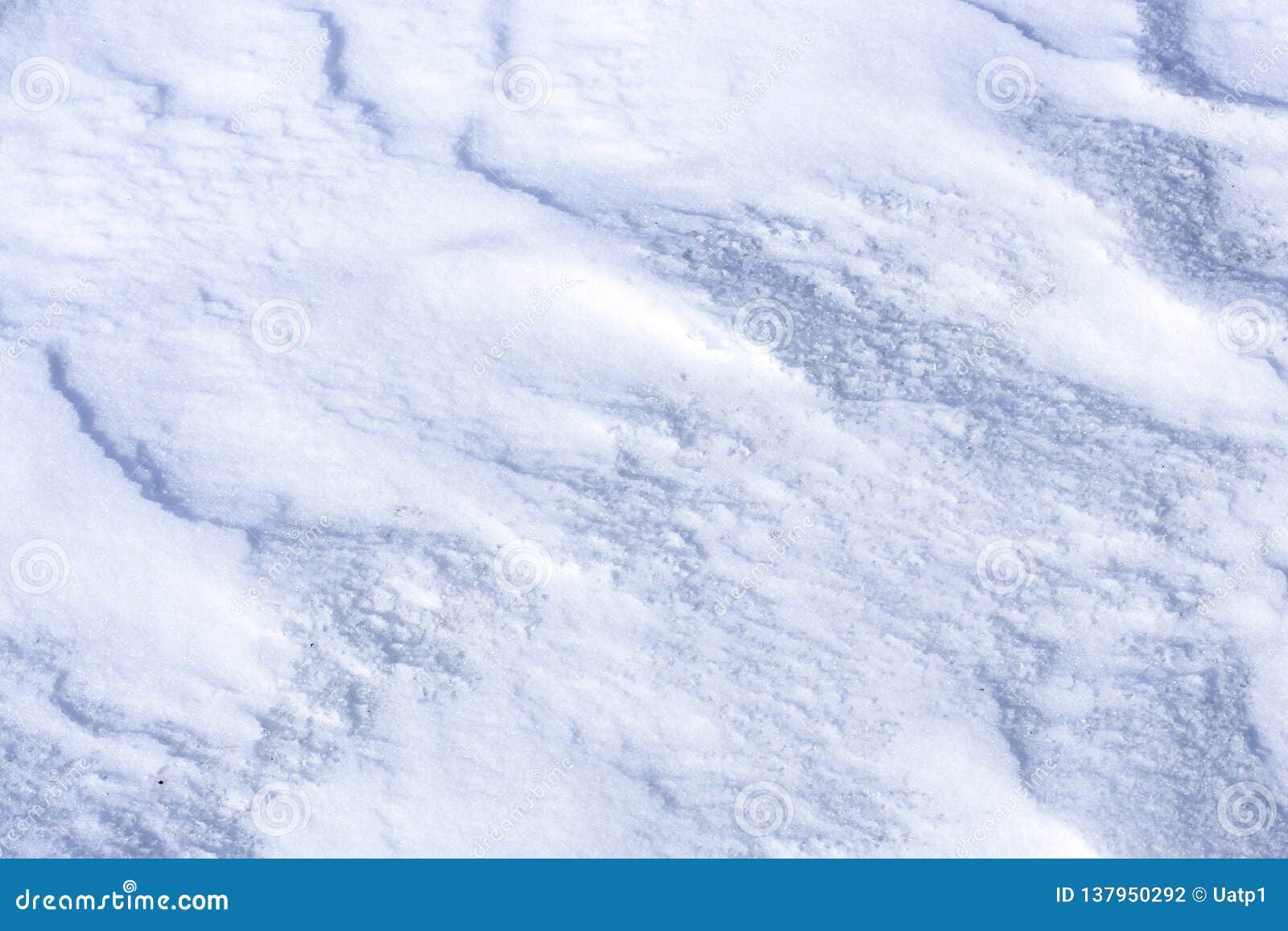 Thin Crust of Ice Over Snow Stock Photo - Image of background, abstract ...