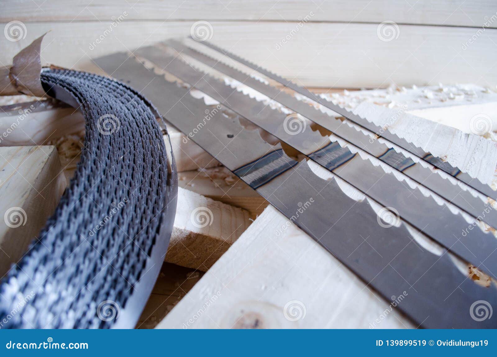 Thin-cutting Band Saw for Woodworking Industry. CNC Automatic Machine ...