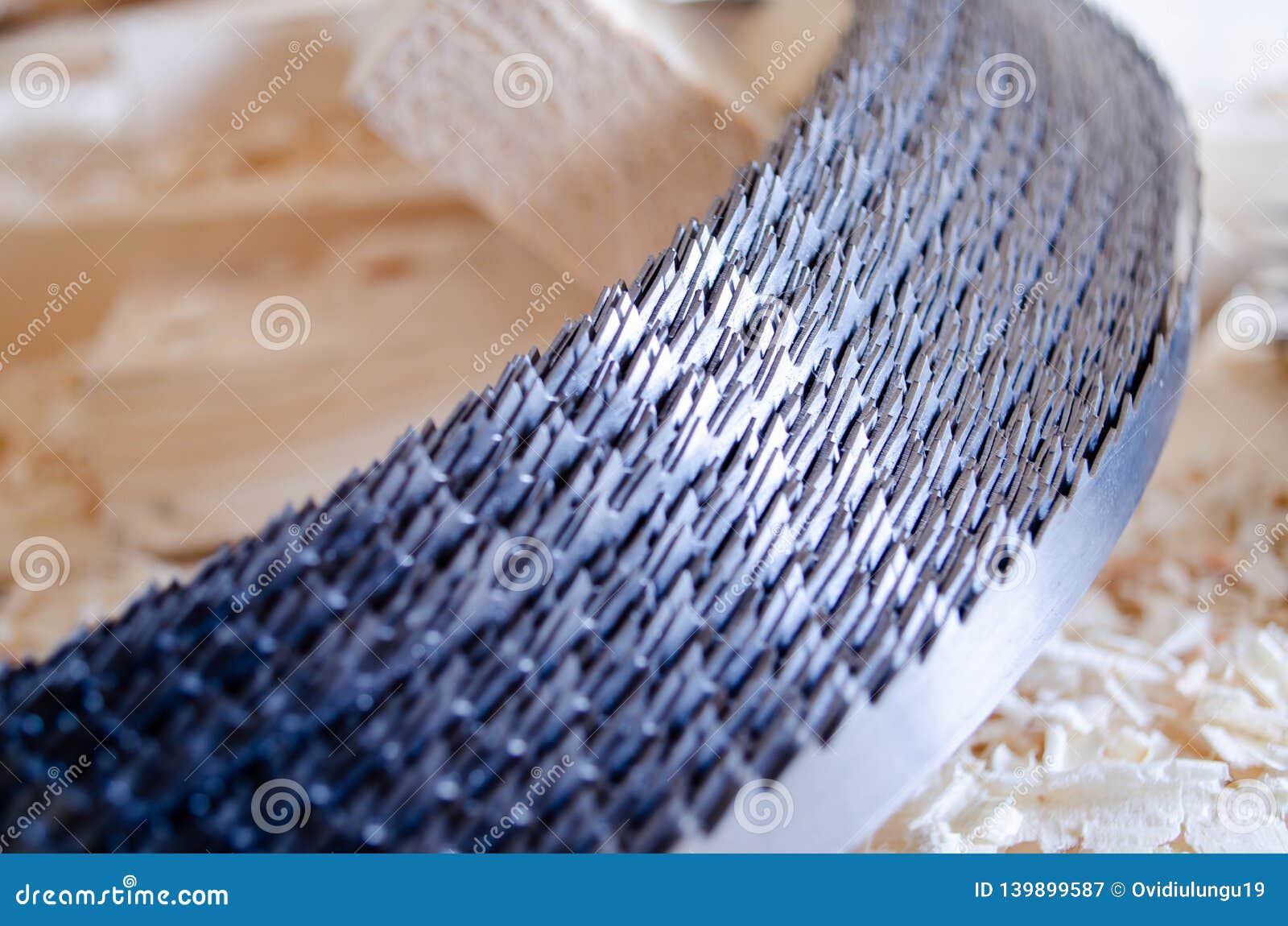 Thin-cutting Band Saw for Woodworking Industry. CNC Automatic Machine ...