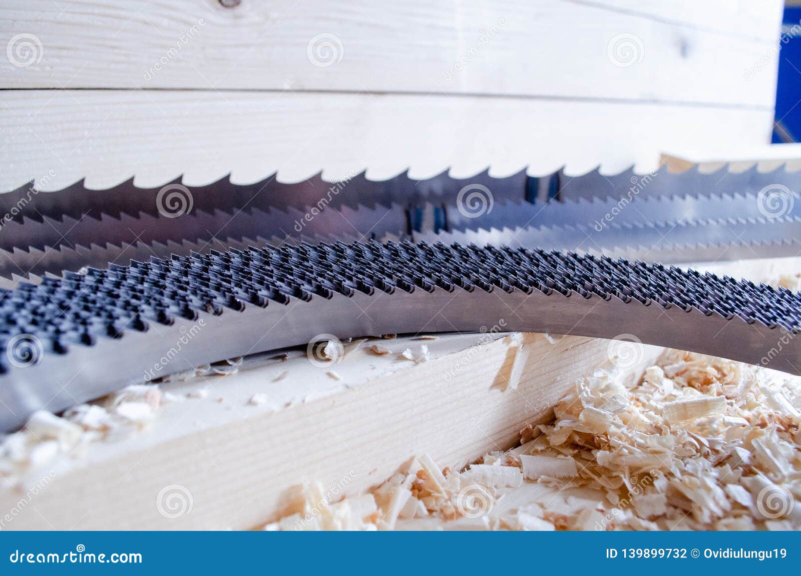 Thin-cutting Band Saw for Woodworking Industry. CNC Automatic Machine ...