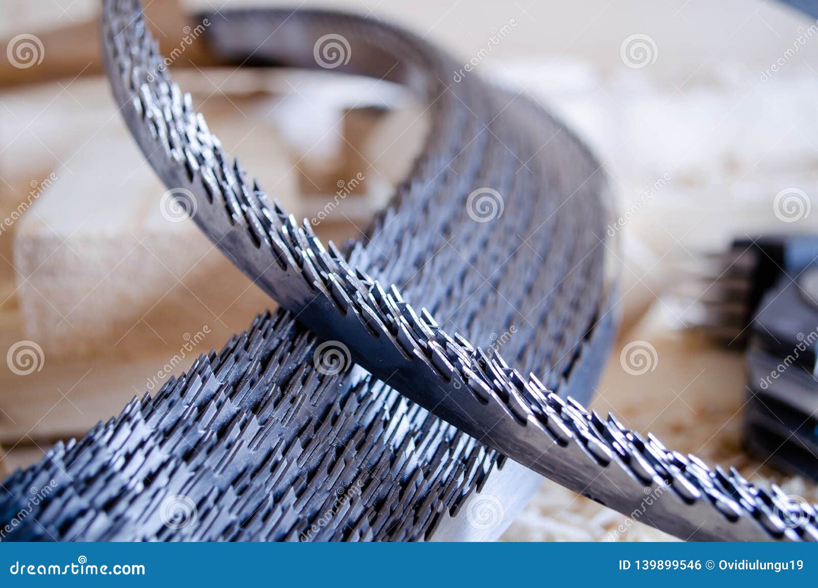 Thin-cutting Band Saw for Woodworking Industry. CNC Automatic Machine ...