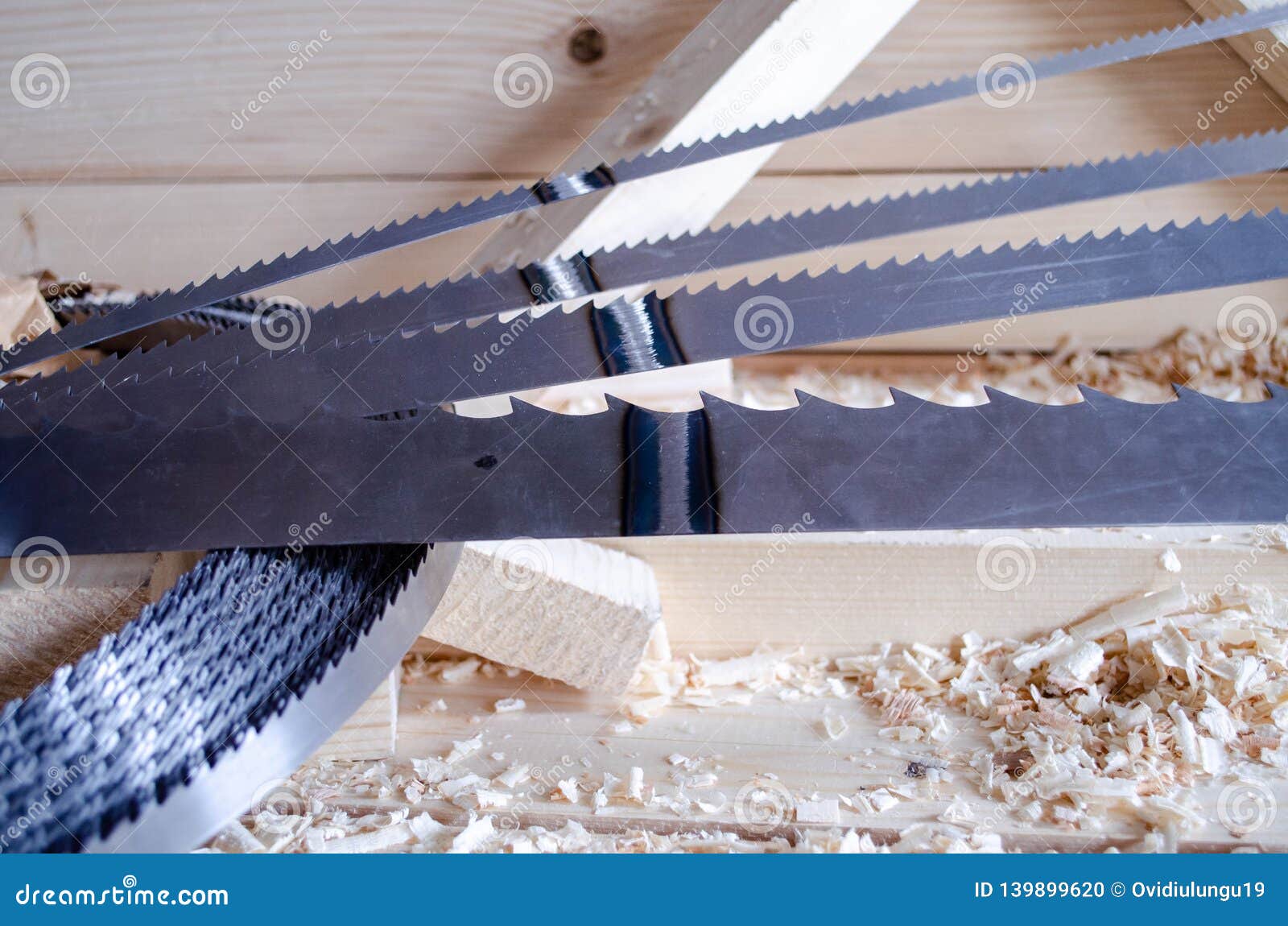 Thin-cutting Band Saw for Woodworking Industry. CNC Automatic Machine ...