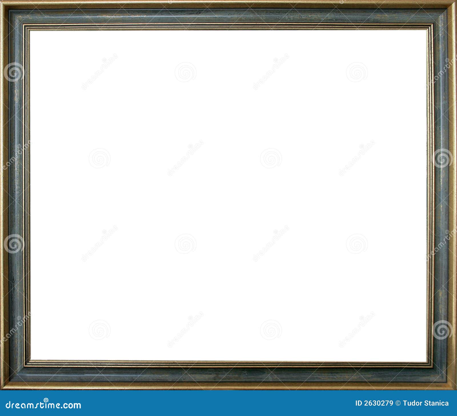 Thin frame stock image. Image of plated, portrait, wood - 2630279