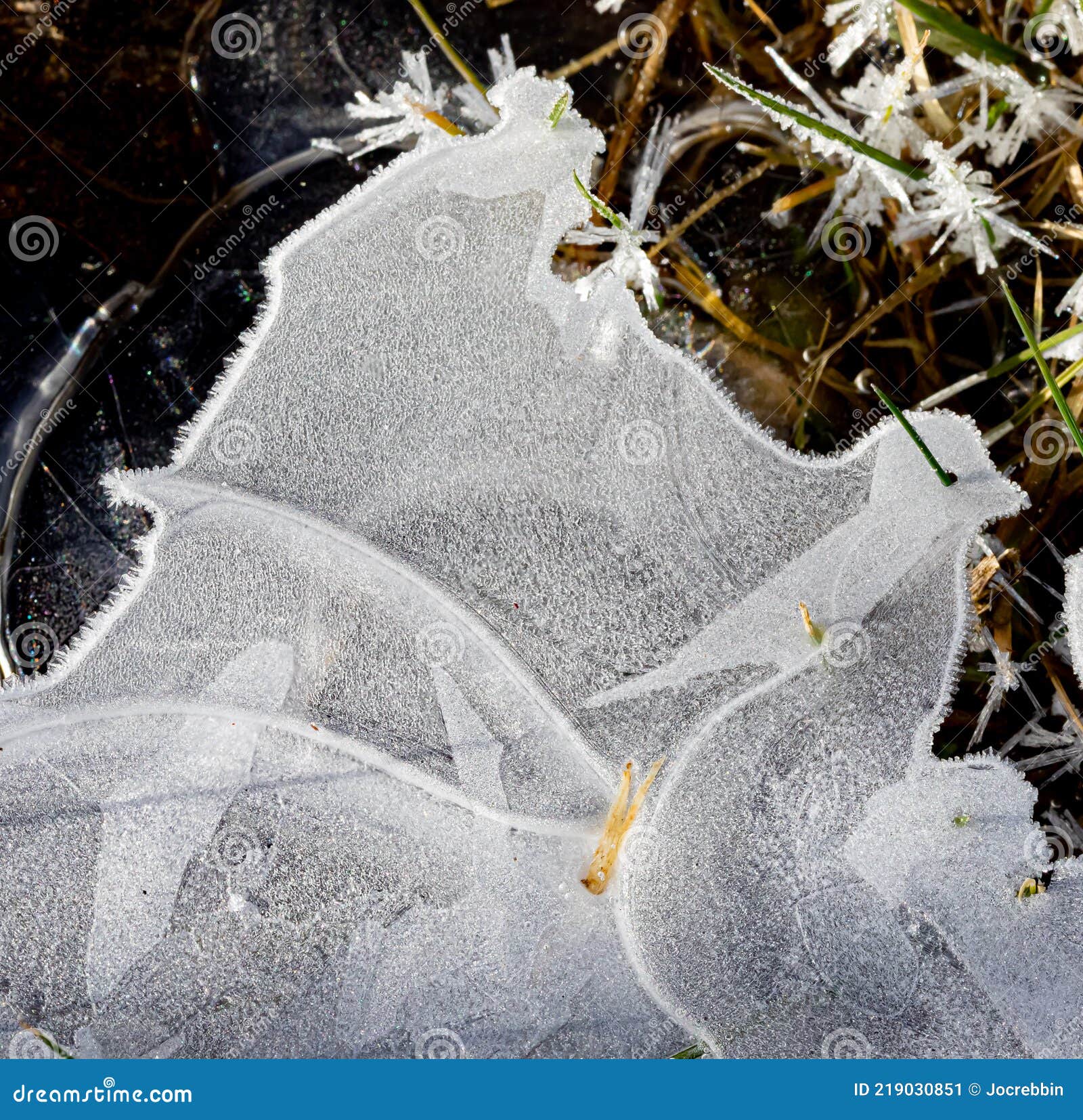 Thin Ice Forms Designs of Curves and Triangles in Nature in Winter ...