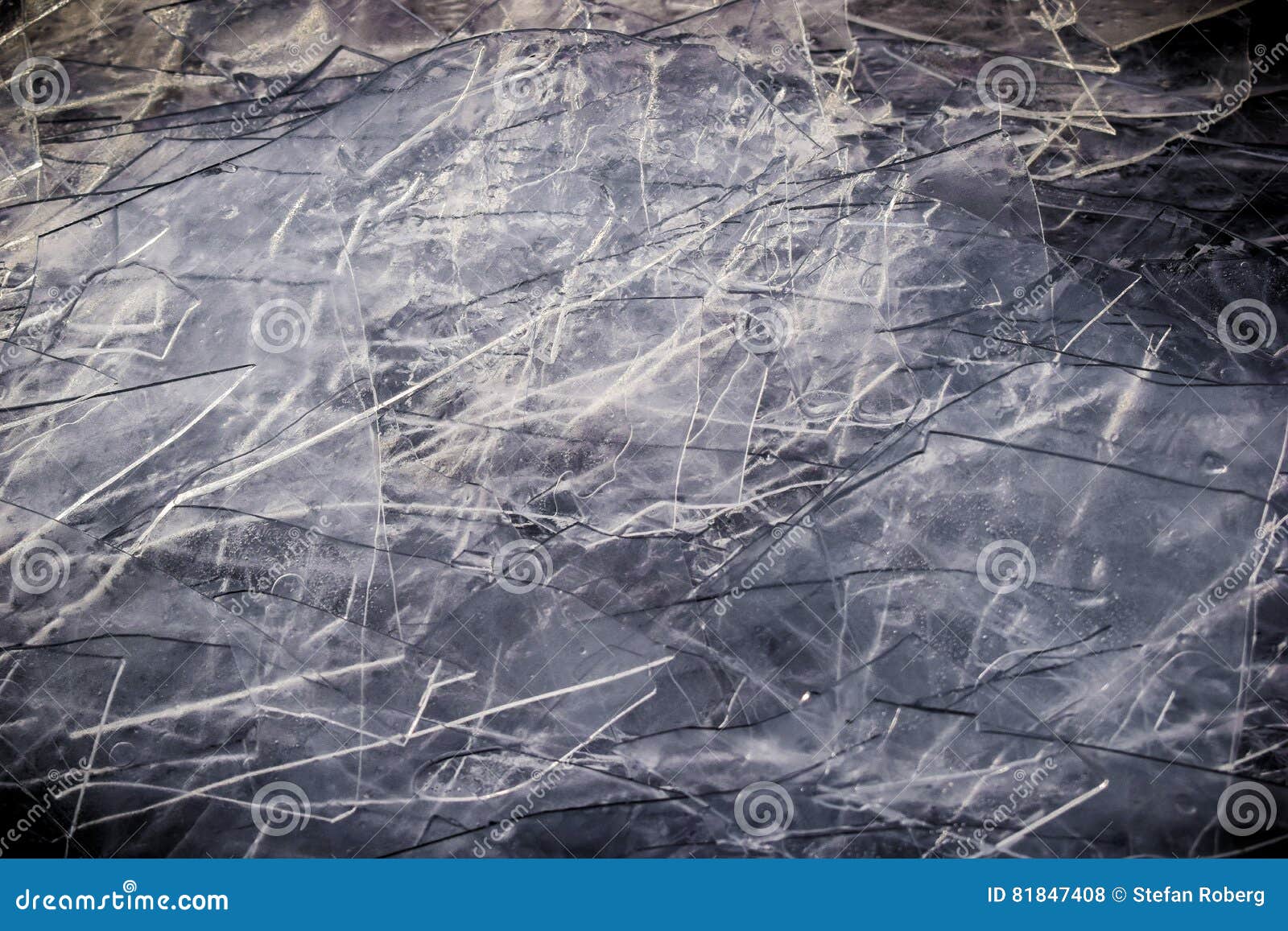 On thin ice stock photo. Image of water, sweden, reflections - 81847408