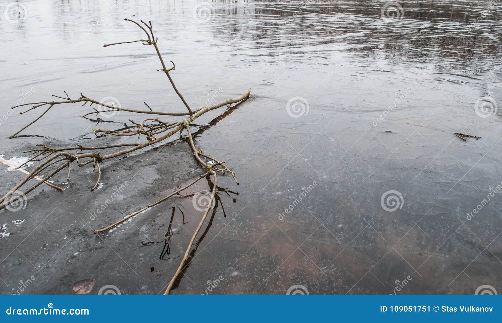 Thin Ice on the Pond in the Spring, Stock Image - Image of purity, lake ...