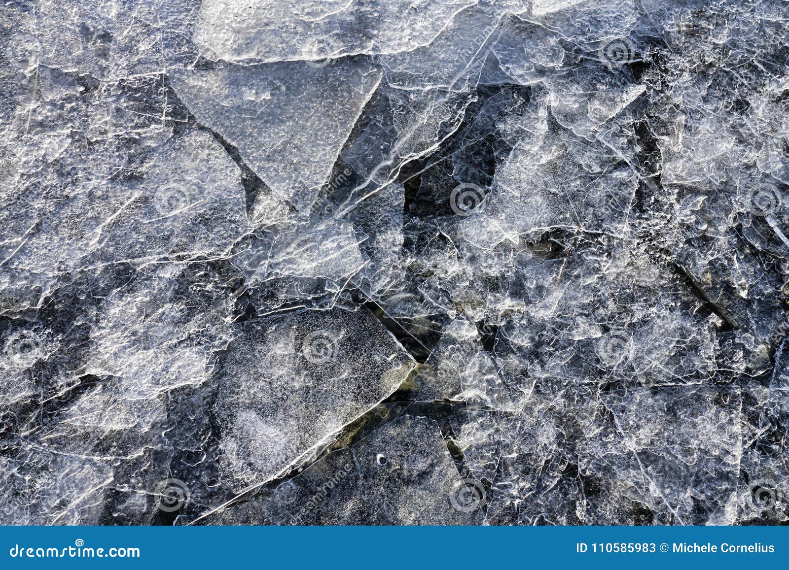 Thin ice shards stock image. Image of patterns, winter - 110585983