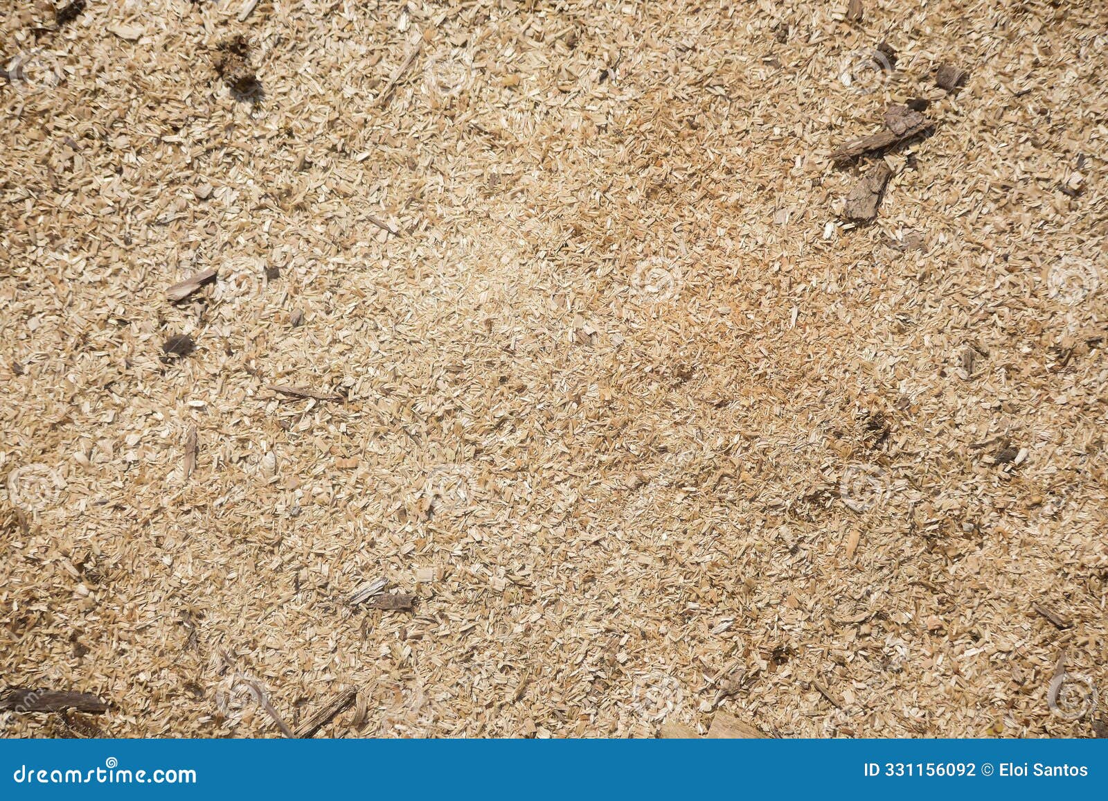 Thin Layer Chromatography Royalty-Free Stock Photo | CartoonDealer.com ...