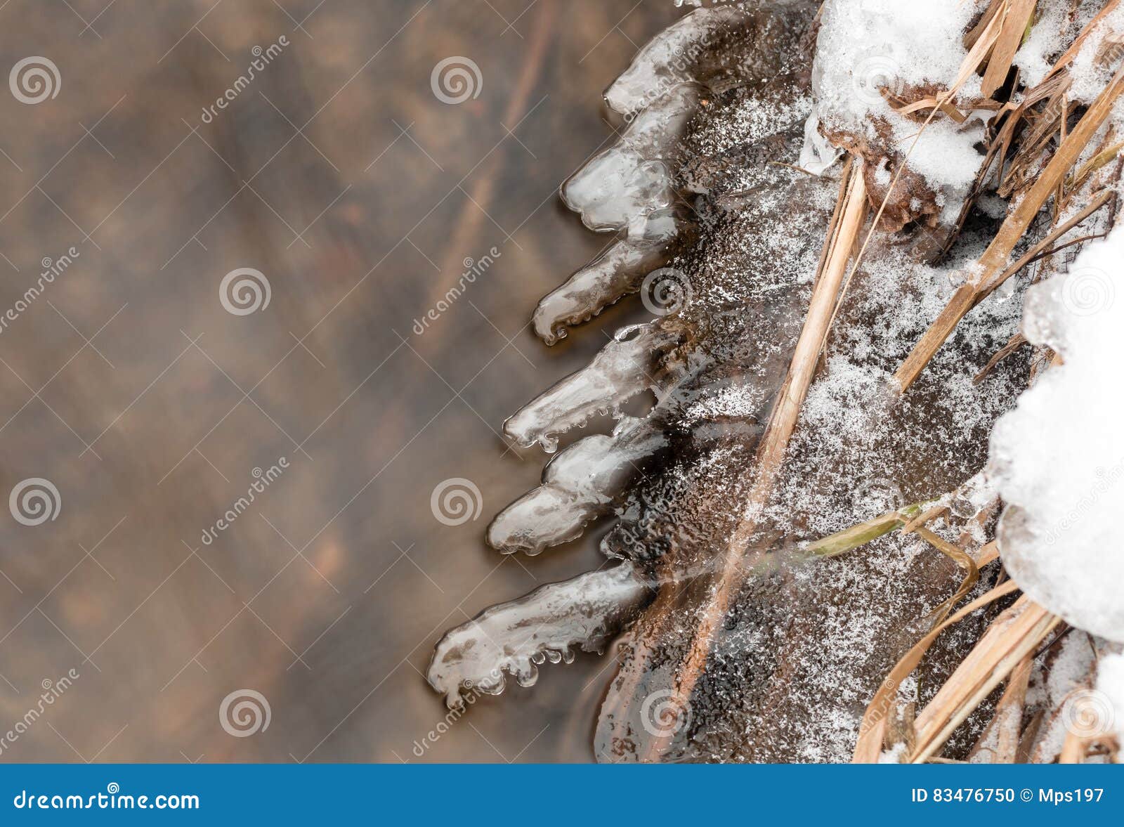 Thin Layers of Ice Forming on the Side of a Freezing Stream. Stock ...