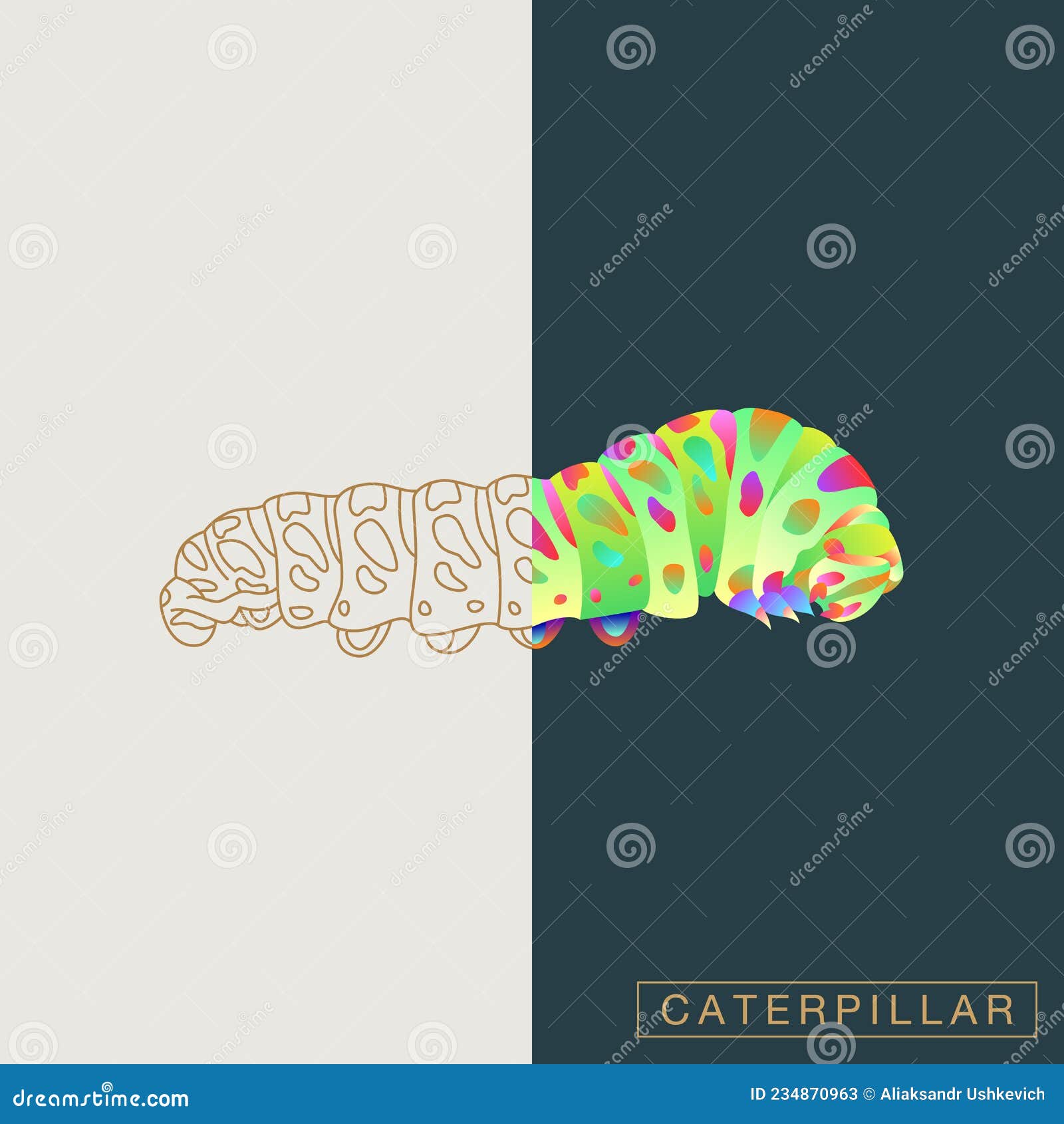 Abstract Insects Illustration Stock Vector - Illustration of flash ...