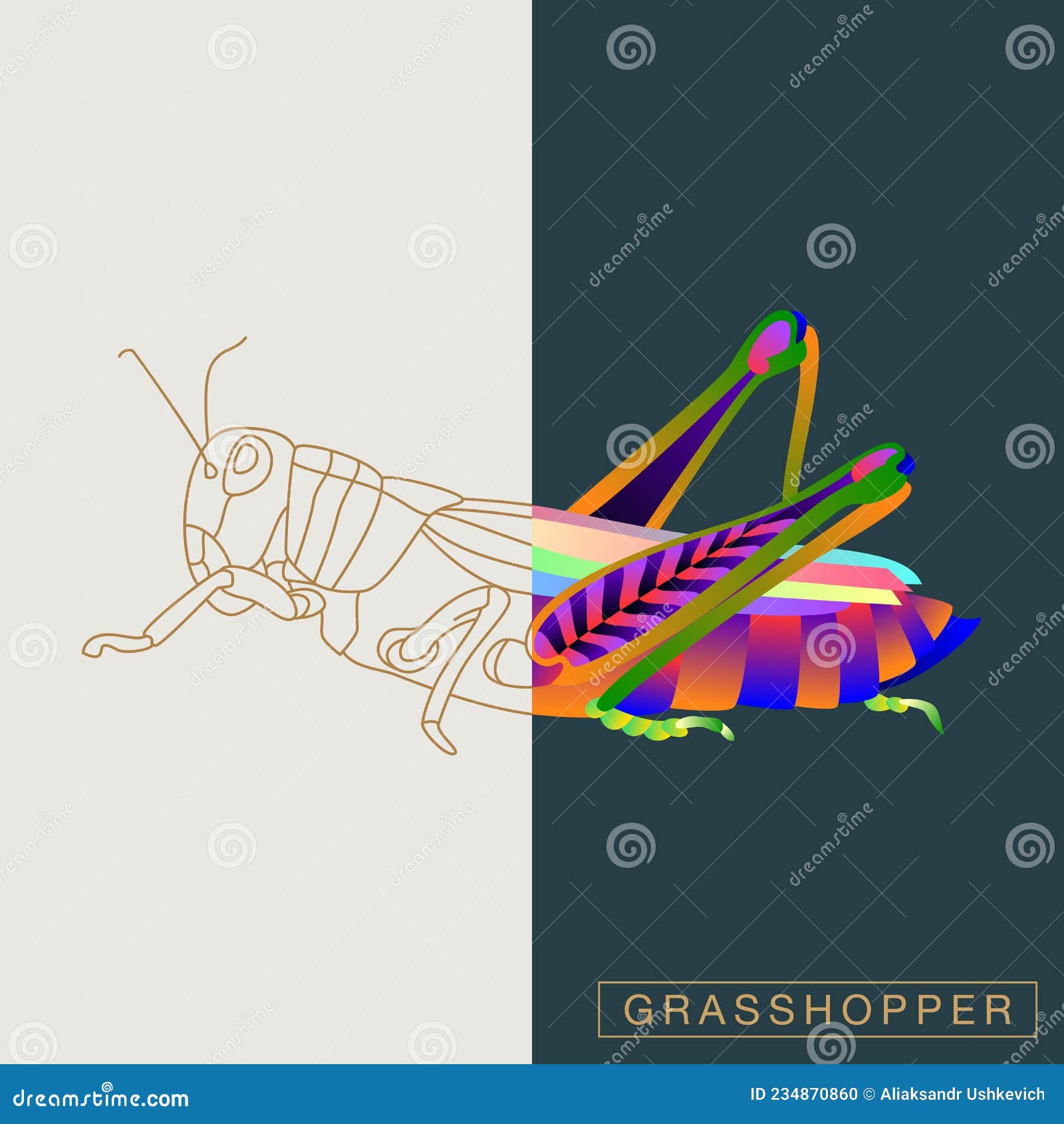 Abstract Insects Illustration Stock Vector - Illustration of icon, line ...