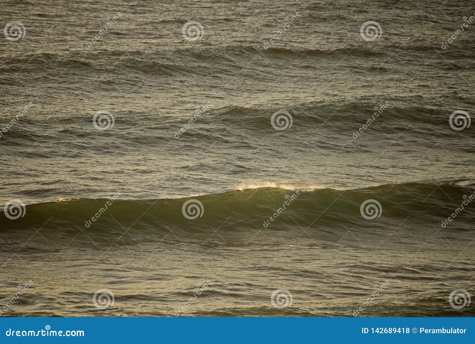 THIN LINE of LIGHT on CREST of WAVE Stock Photo - Image of ripples ...