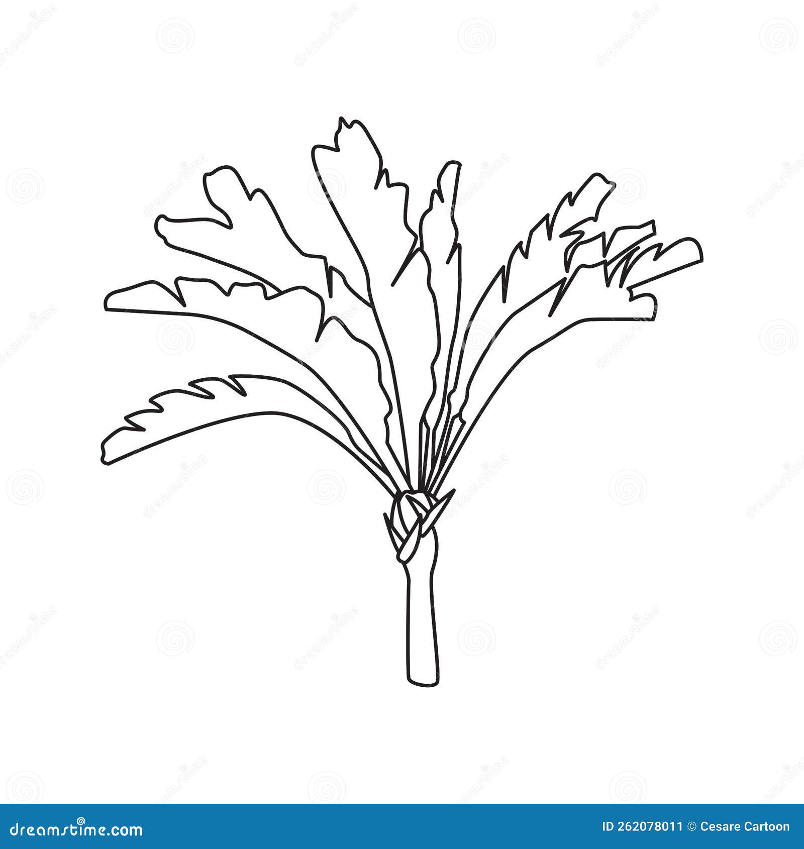 Thin line palm tree stock vector. Illustration of palm - 262078011