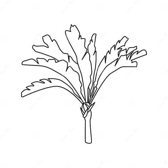 Thin line palm tree stock vector. Illustration of palm - 262078011