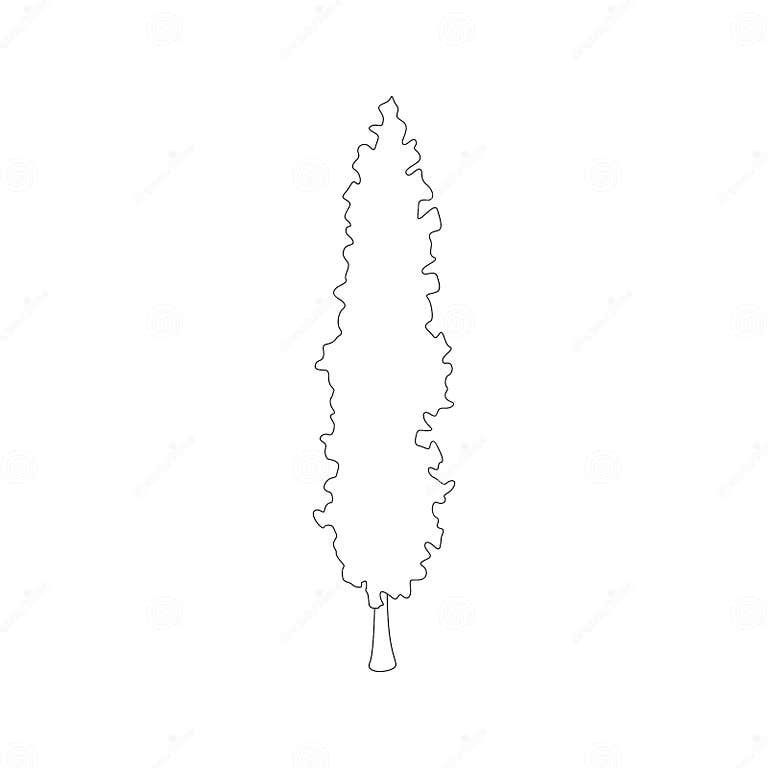 Thin line pine tree stock vector. Illustration of thin - 262077952