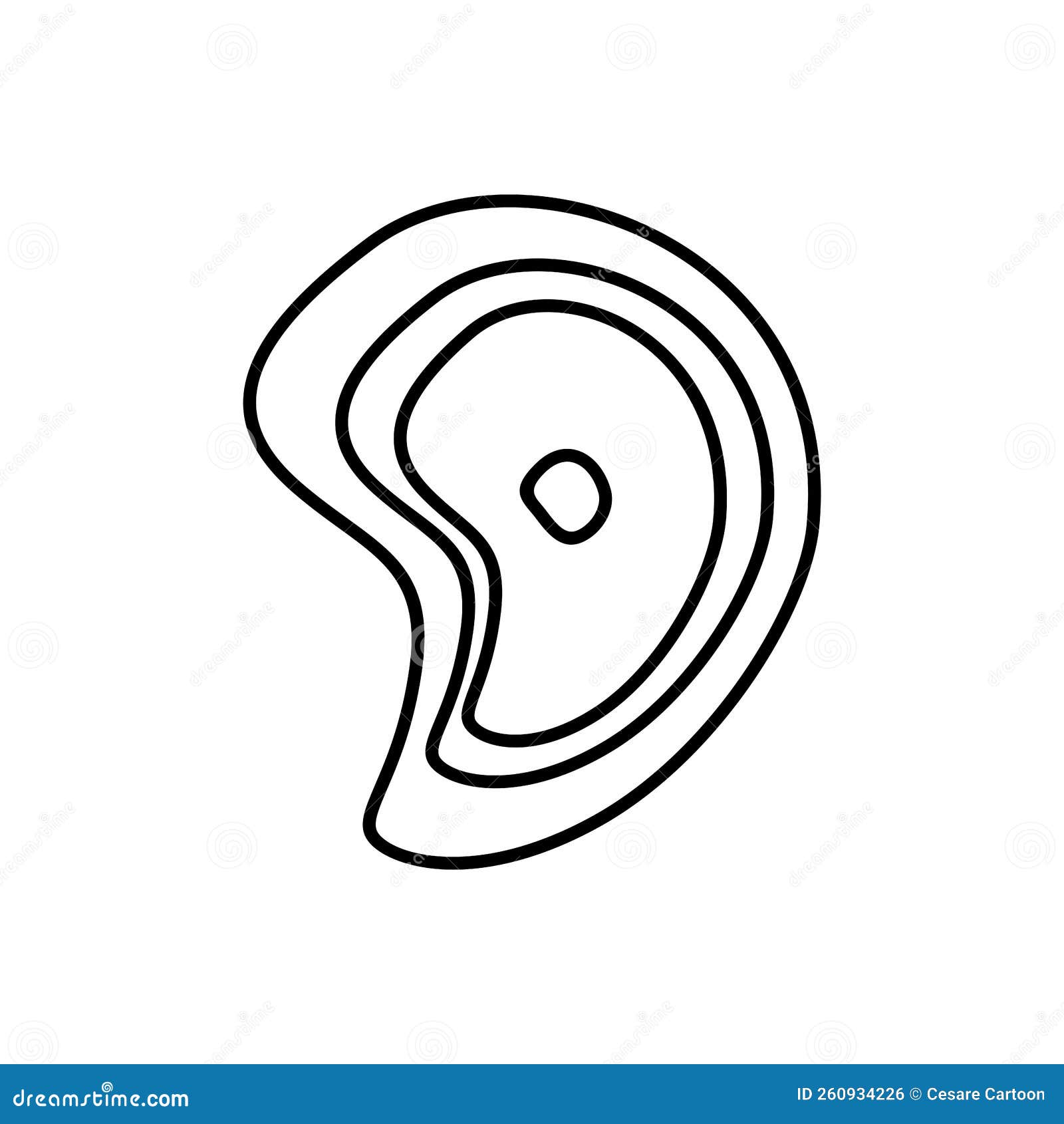 Thin line raw meat stock vector. Illustration of vector - 260934226