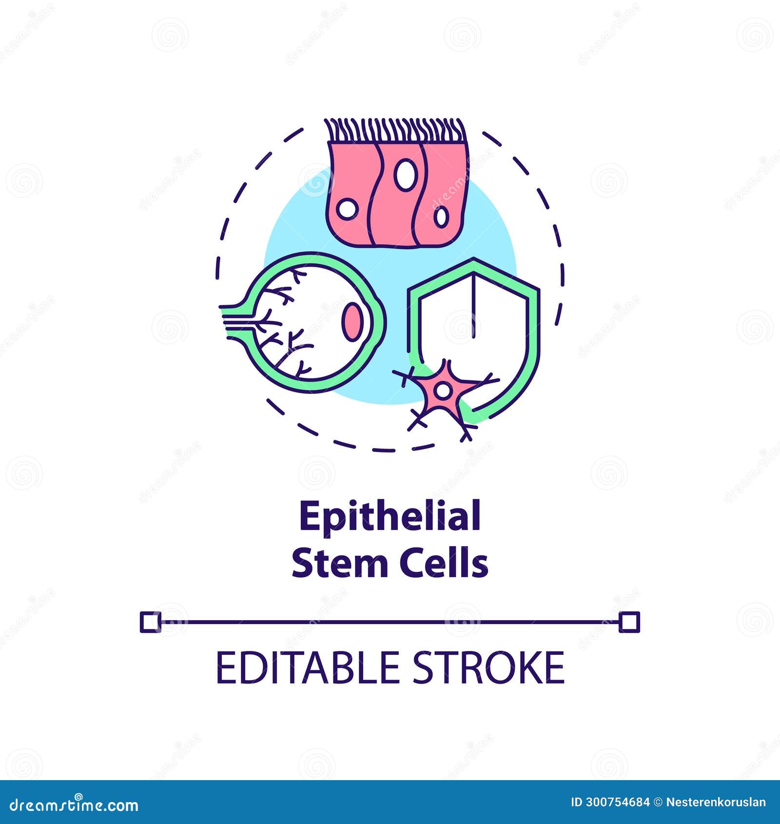 Thin Line Simple Colorful Epithelial Stem Cells Icon Concept Stock ...