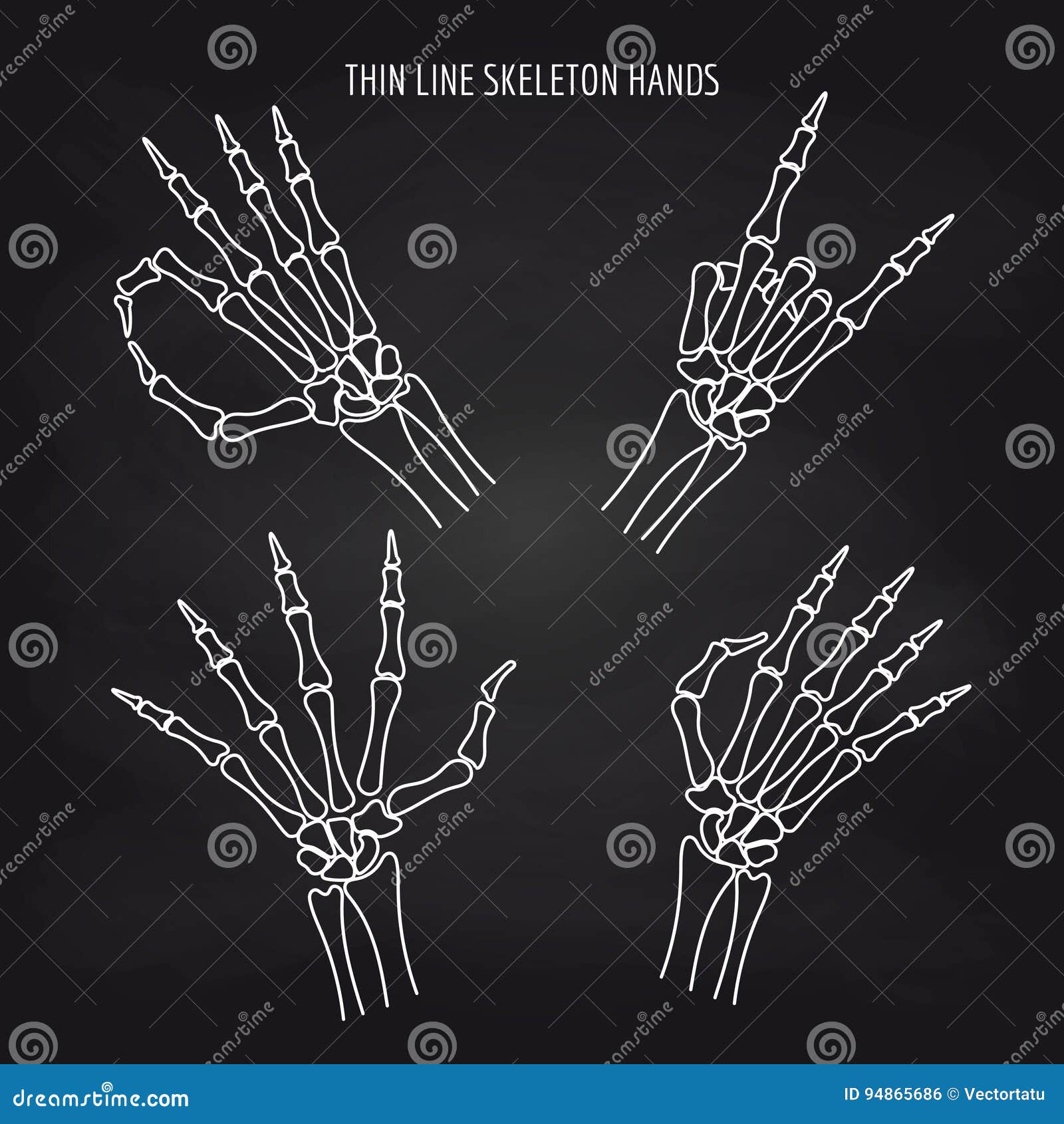 Thin Line Skeleton Hand Gestures Stock Illustrations – 2 Thin Line ...