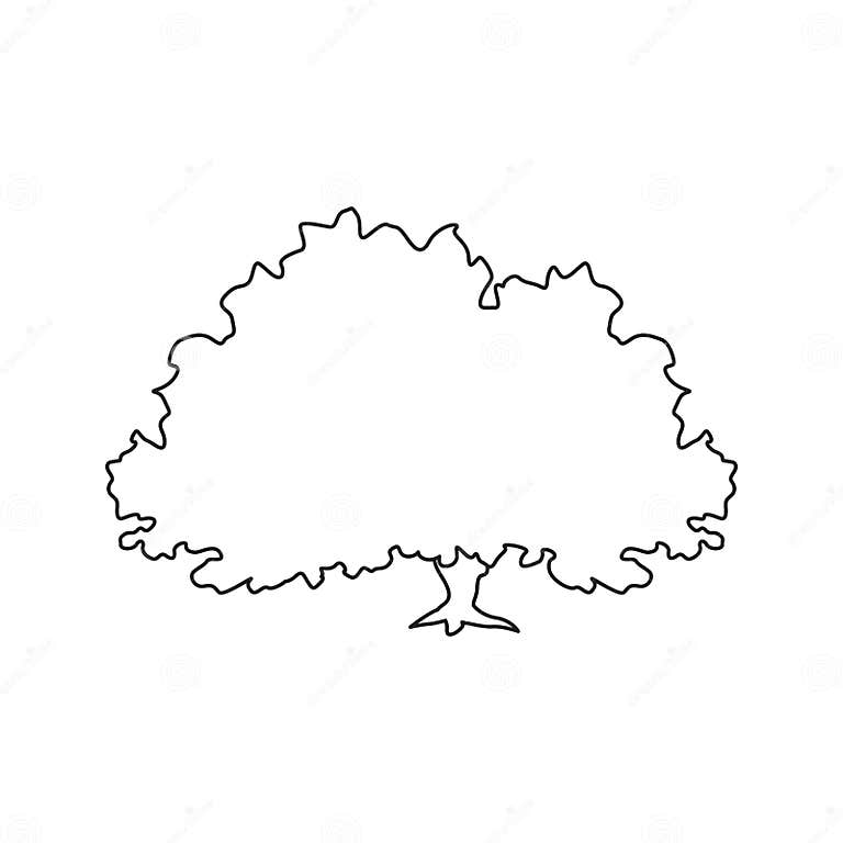 Thin line tree stock vector. Illustration of icon, simple - 262077942