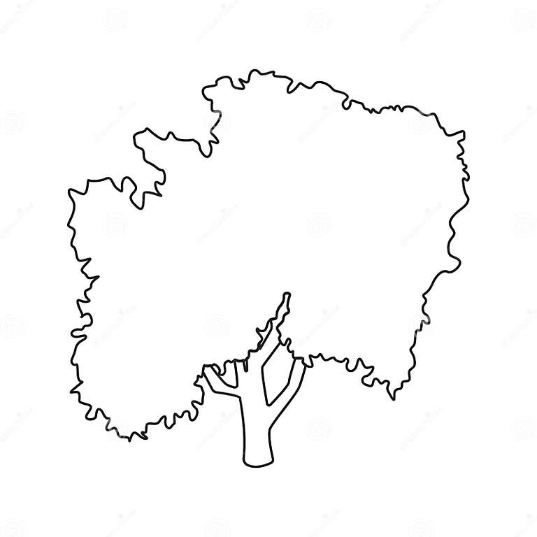 Thin line tree stock vector. Illustration of line, flat - 262077948