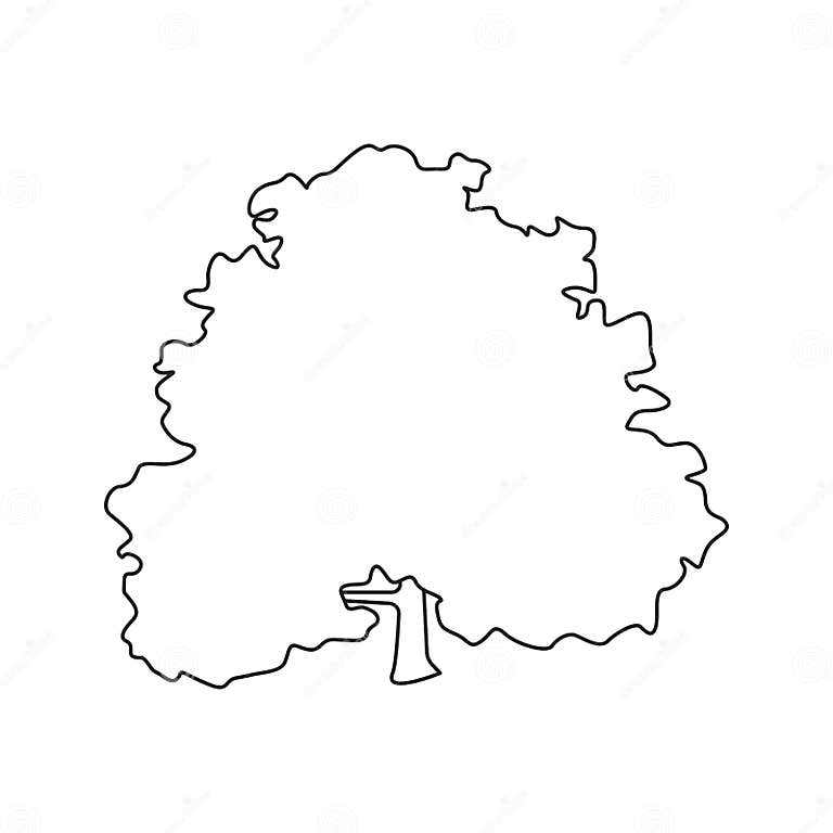 Thin line tree stock vector. Illustration of tree, line - 262077983