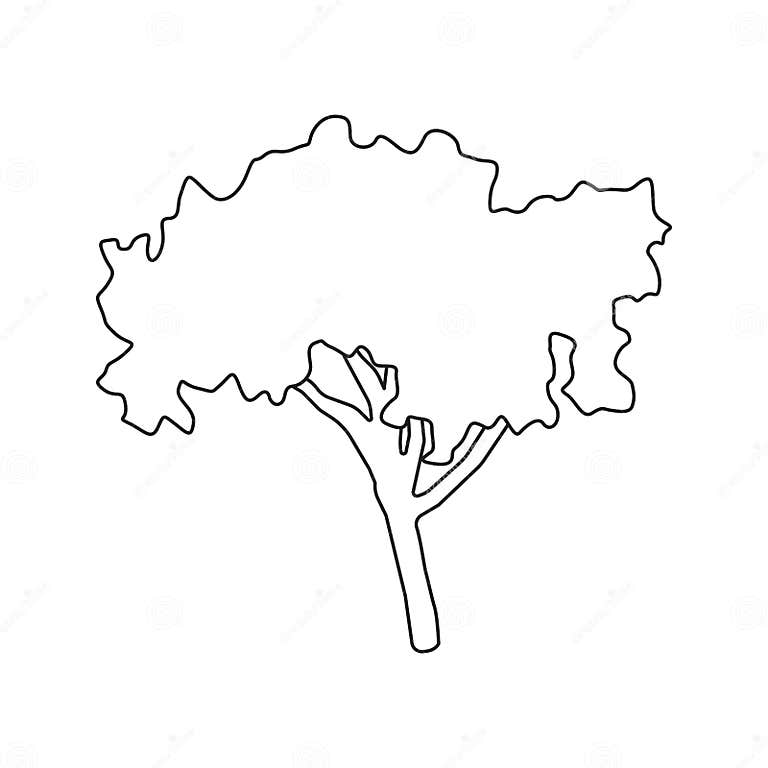 Thin line tree stock vector. Illustration of vector - 262077988