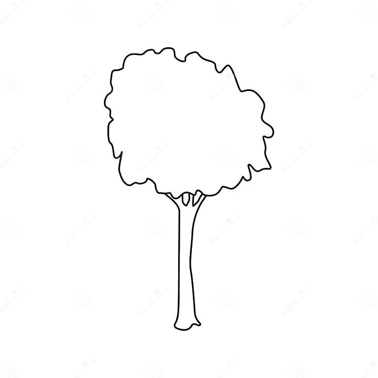 Thin line tree stock vector. Illustration of design - 262078001