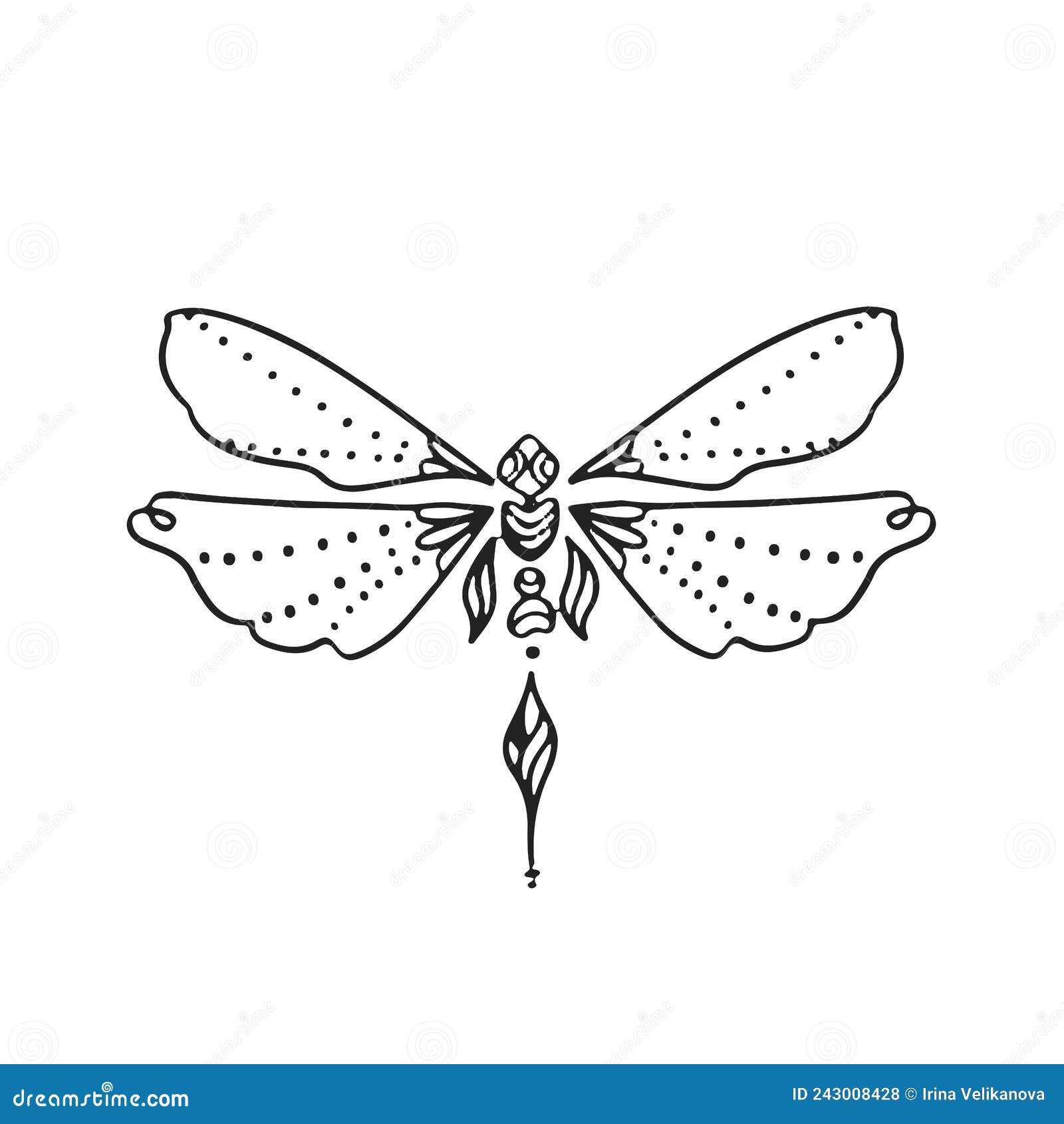 Thin Linear Butterfly Monochrome Illustration Vector Decoration Stock ...