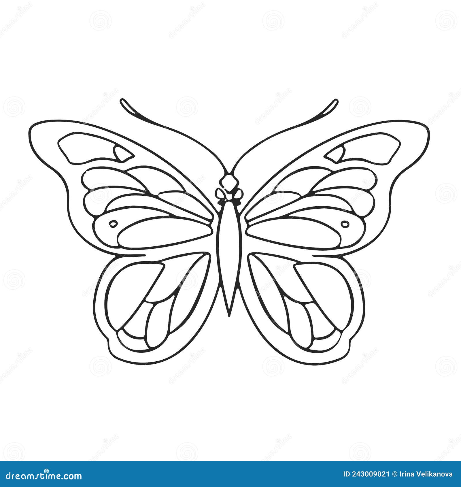 Thin Linear Butterfly Monochrome Illustration Vector Decoration Stock ...