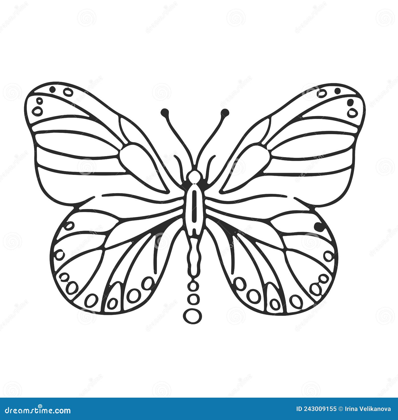 Thin Linear Butterfly Monochrome Illustration Vector Decoration Stock ...