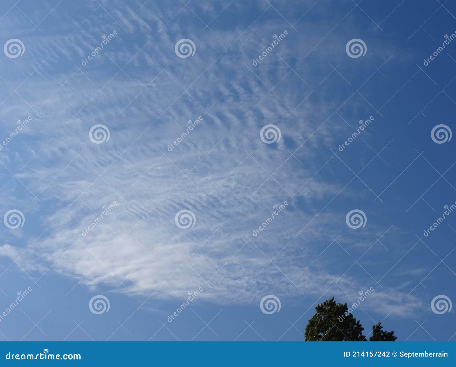 Many Rows of Thin Clouds in the Sky Stock Photo - Image of climate ...