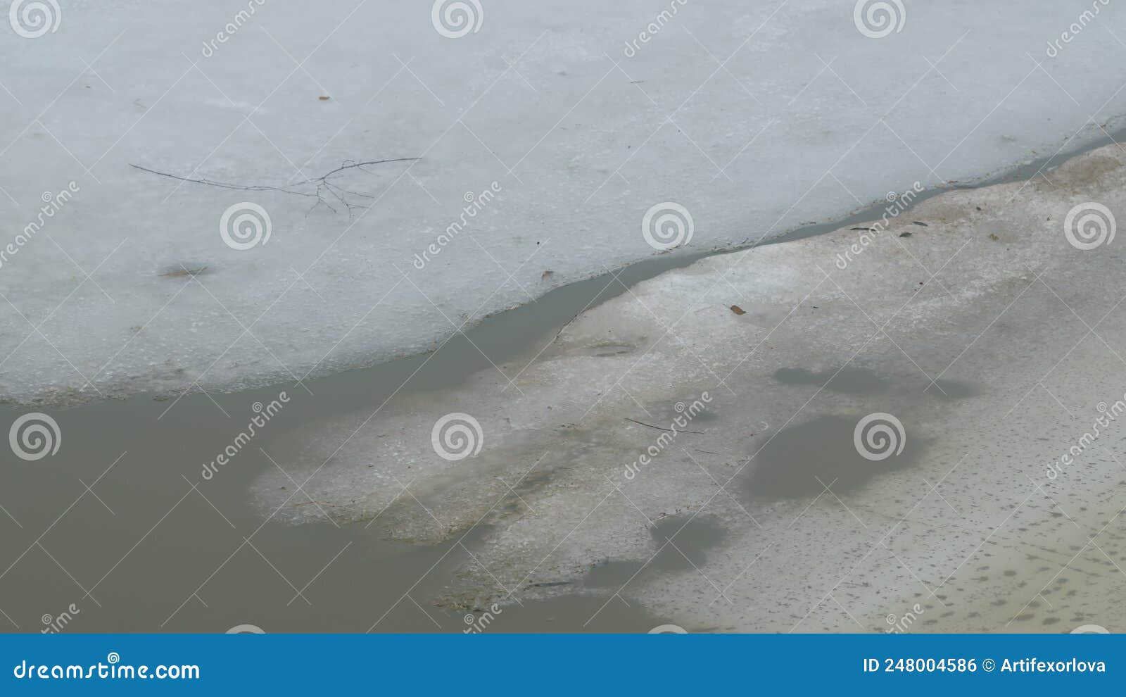 Thin Melting Ice in a Spring Forest Lake. the Spring Surface of the ...